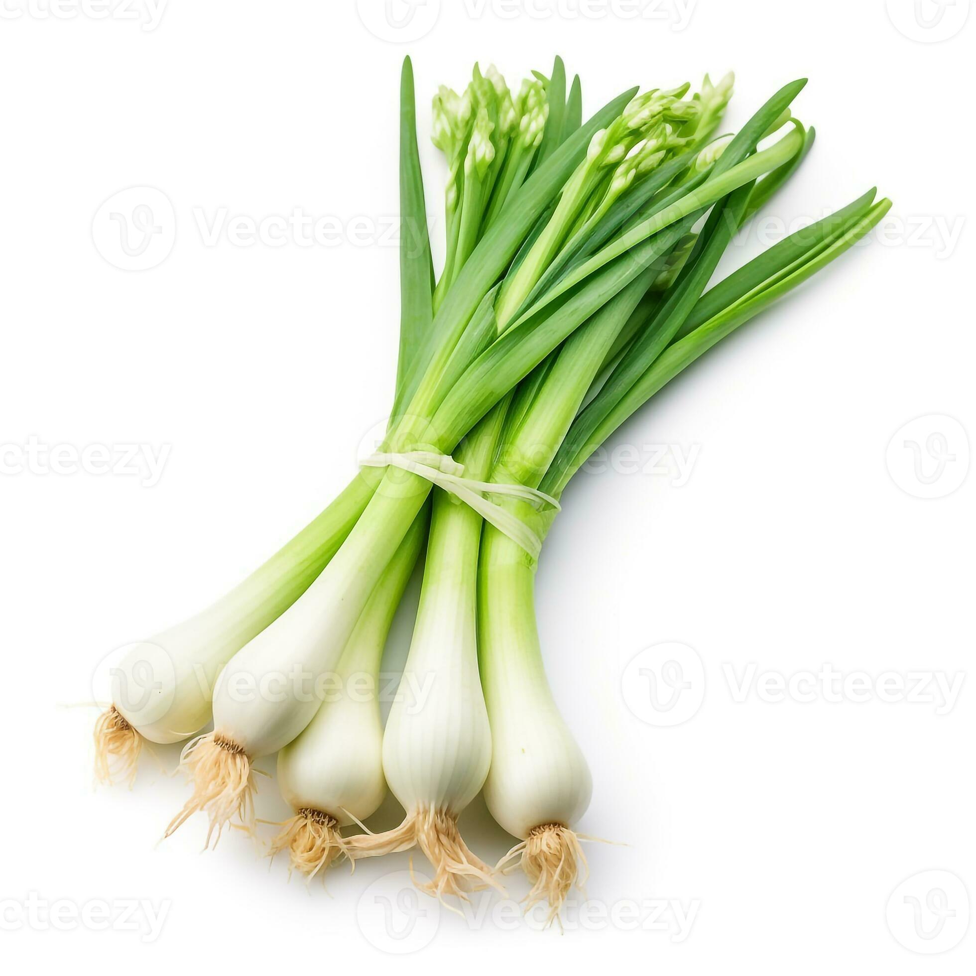 Spring onion isolated on white background .Generative Ai. 29552309 ...