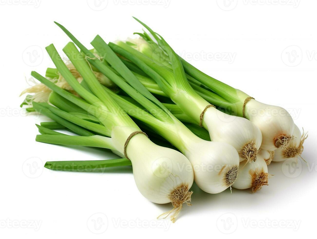Spring onion isolated on white background .Generative Ai. 29552346 ...