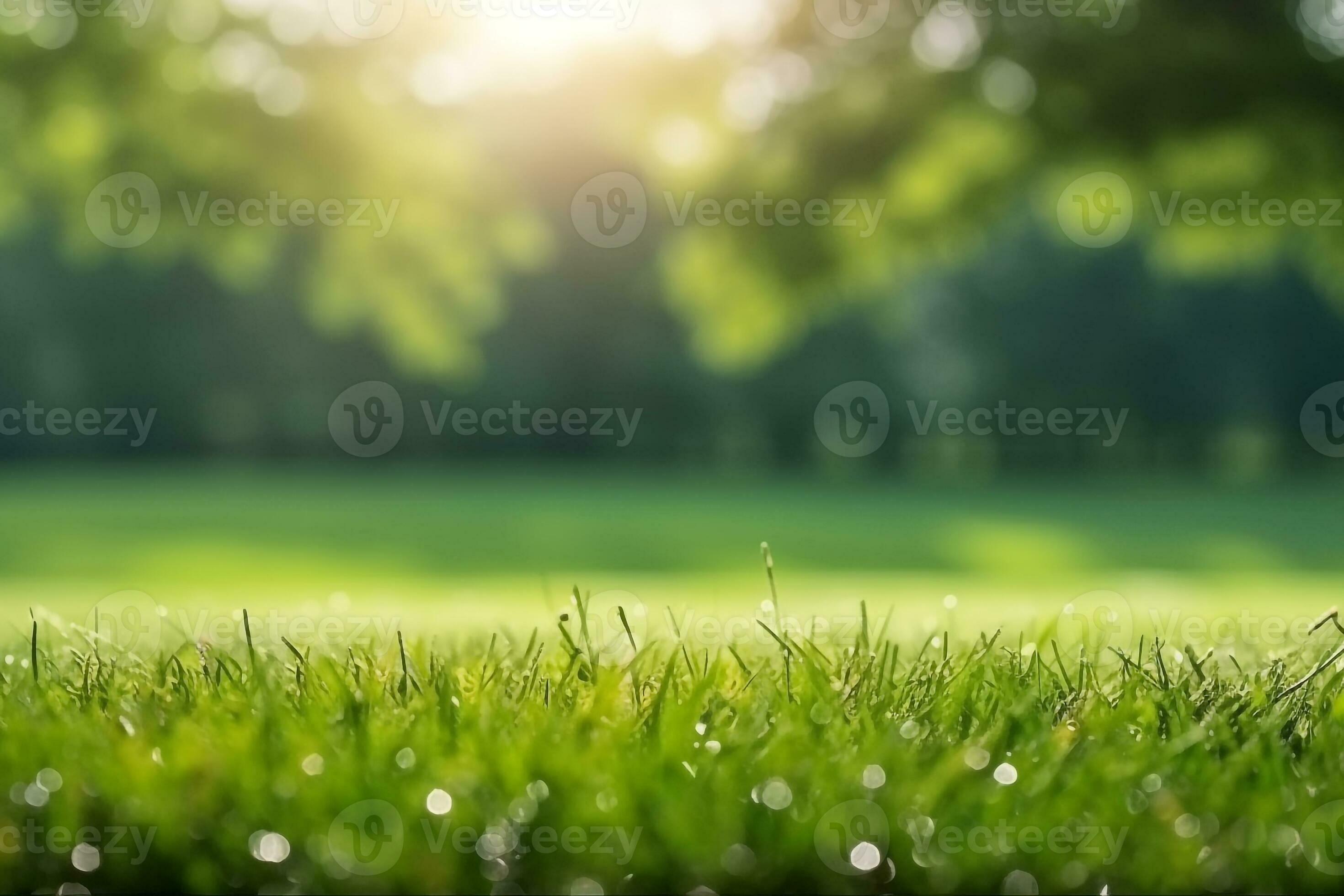 Selective focus green grass with bokeh background.Generative Ai ...