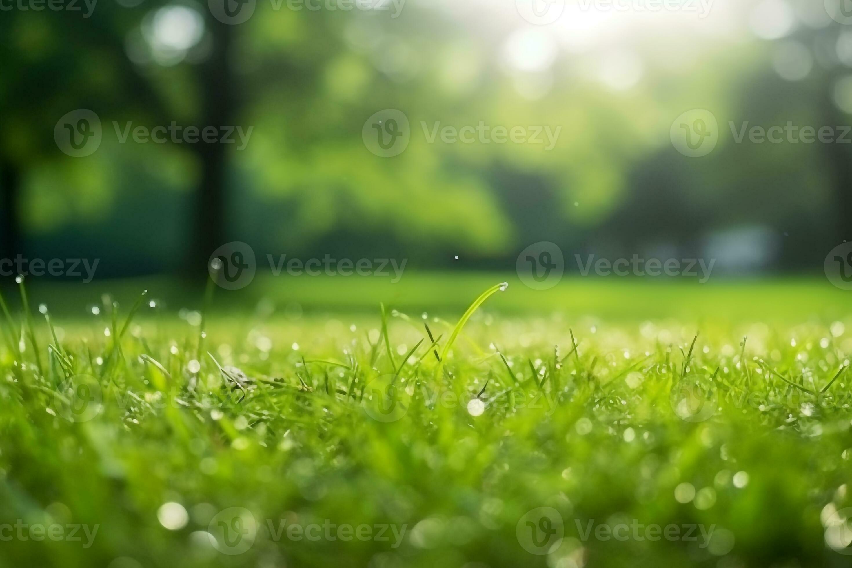 Selective focus green grass with bokeh background.Generative Ai ...