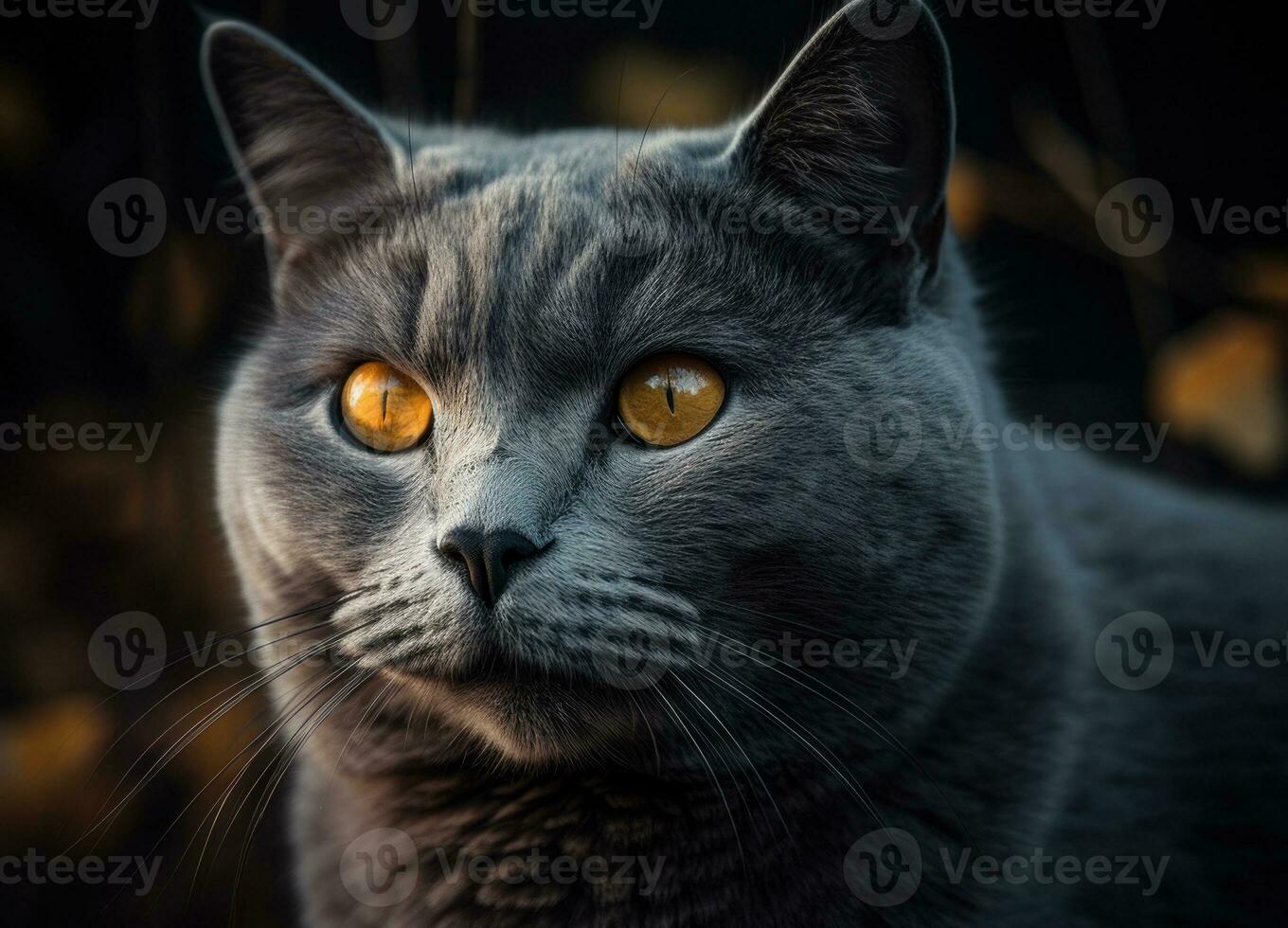 Chartreux cat portrait close up created with Generative AI technology ...