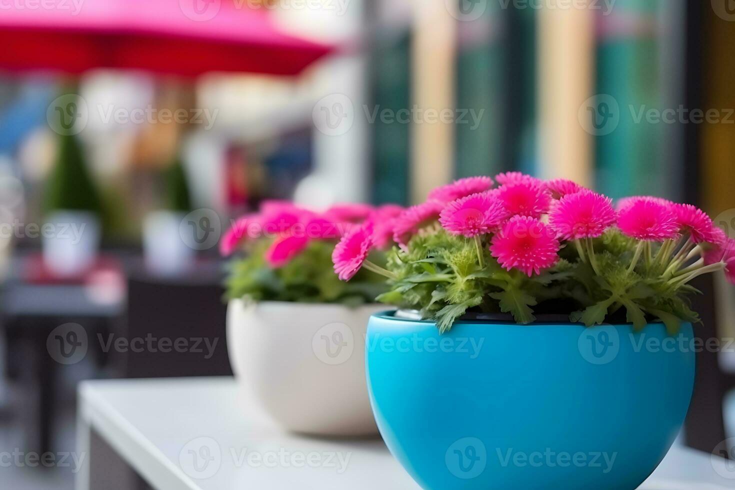 Flower Pots Stock Photos, Images and Backgrounds for Free Download