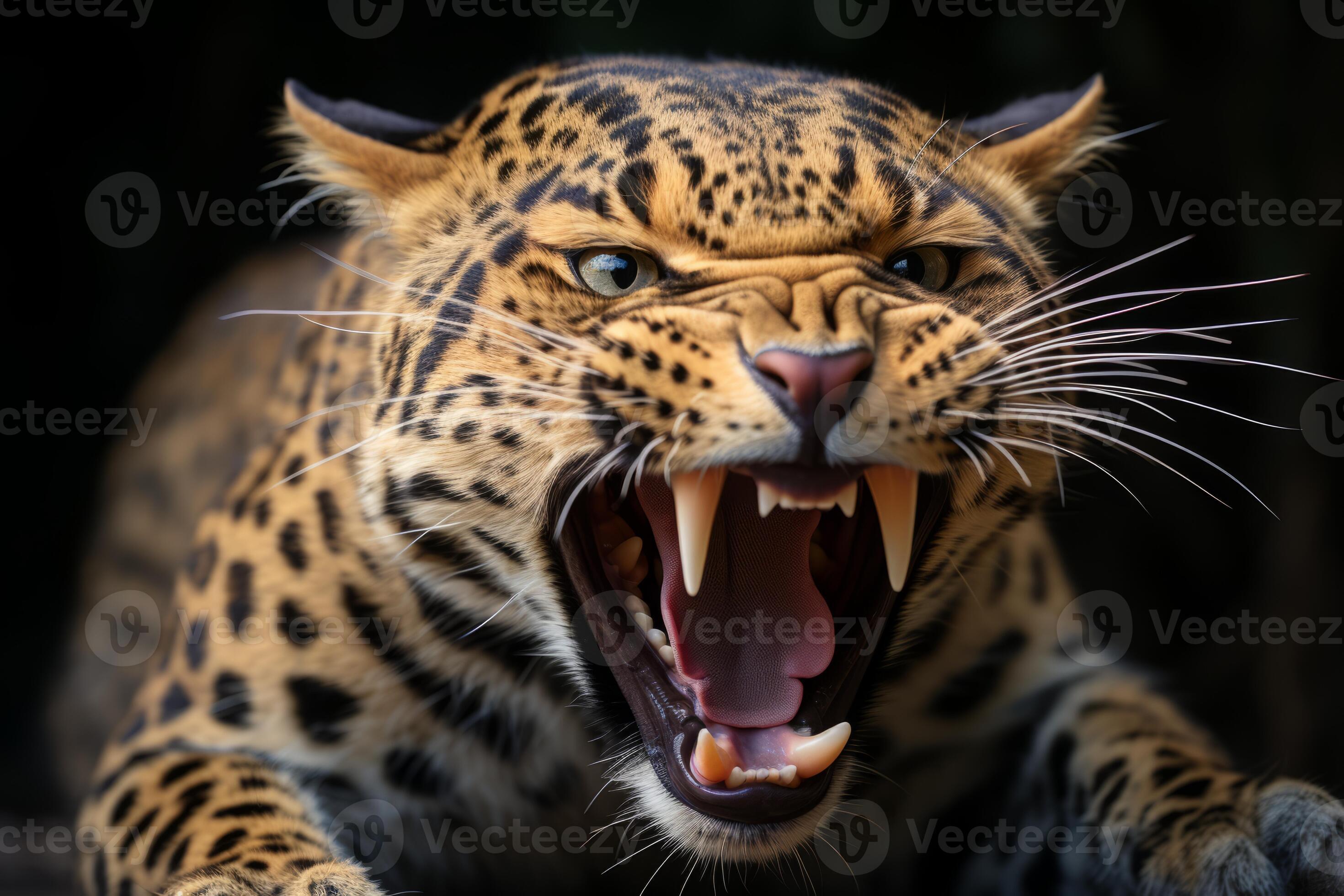 an angry jaguar with its mouth open generative ai 29691479 Stock Photo at Vecteezy