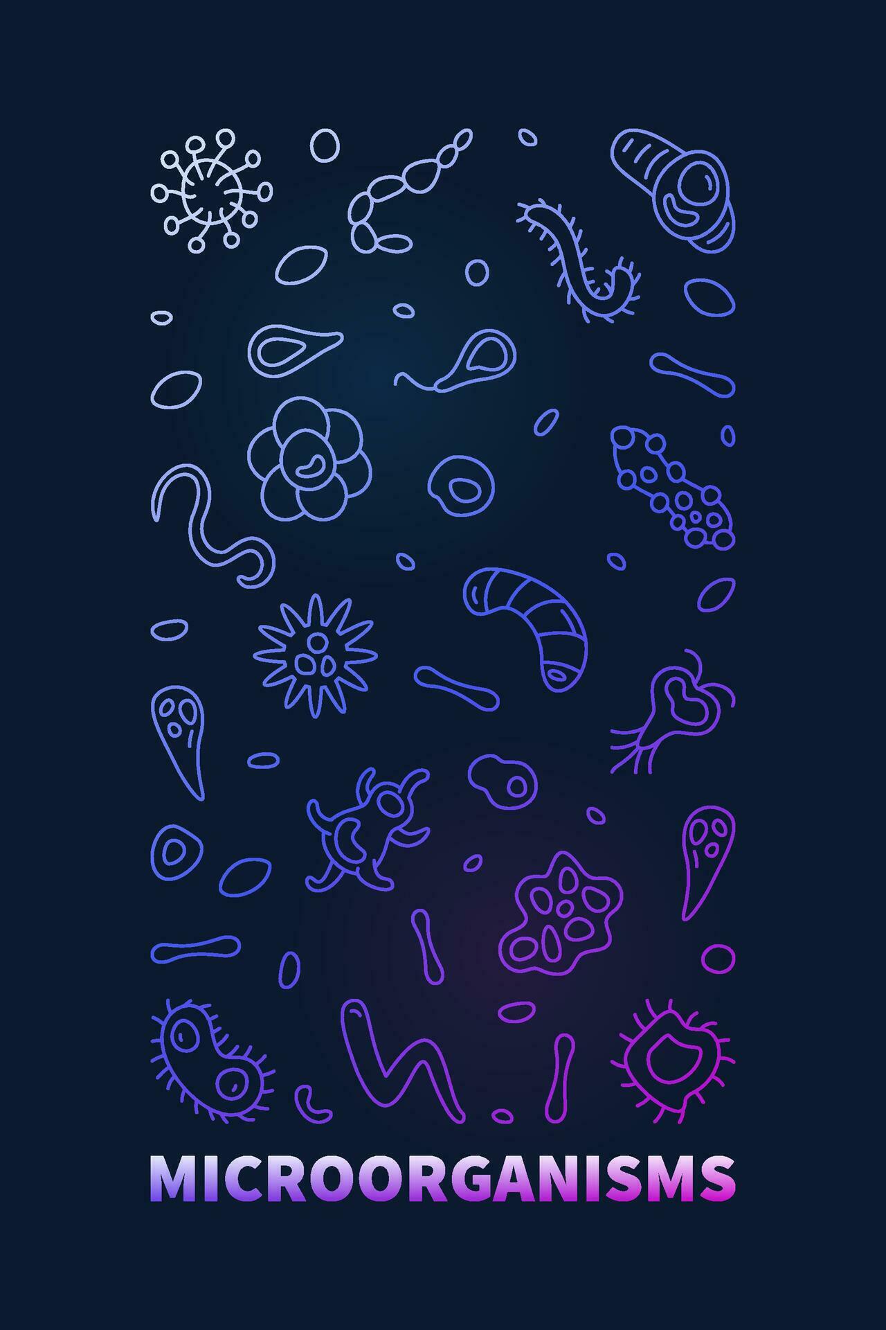 Microorganisms Vector Micro Organisms Concept Linear Colored Vertical Banner Microorganism