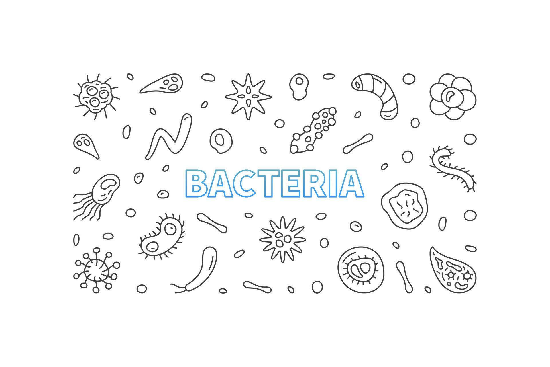 Bacteria concept outline vector horizontal minimal banner with microbes ... Bacteria concept outline vector horizontal minimal banner with microbes ...