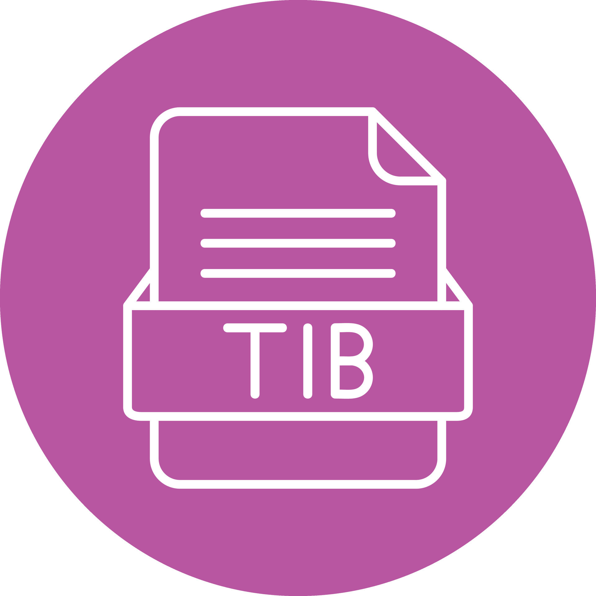 Tib File Format Vector Icon 29700223 Vector Art At Vecteezy