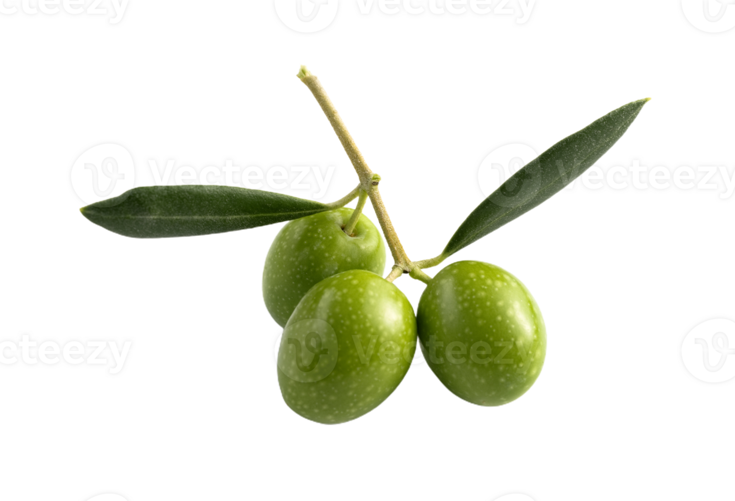 Olive png transparent Hintergrund 29712913 PNG Olive png transparent Hintergrund 29712913 PNG