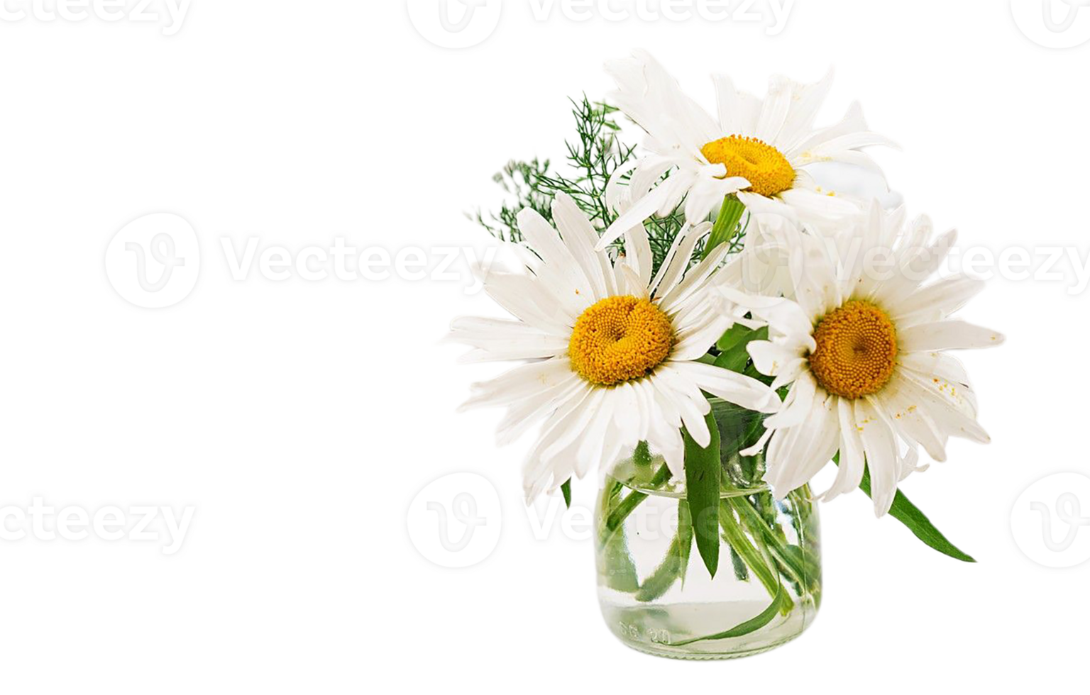 daisy flower png transparent background 29713054 PNG daisy flower png transparent background 29713054 PNG