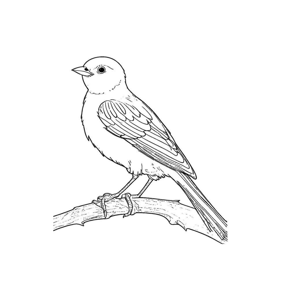 hand drawn kawaii coloring Page illustration 29719276 Vector Art at ...