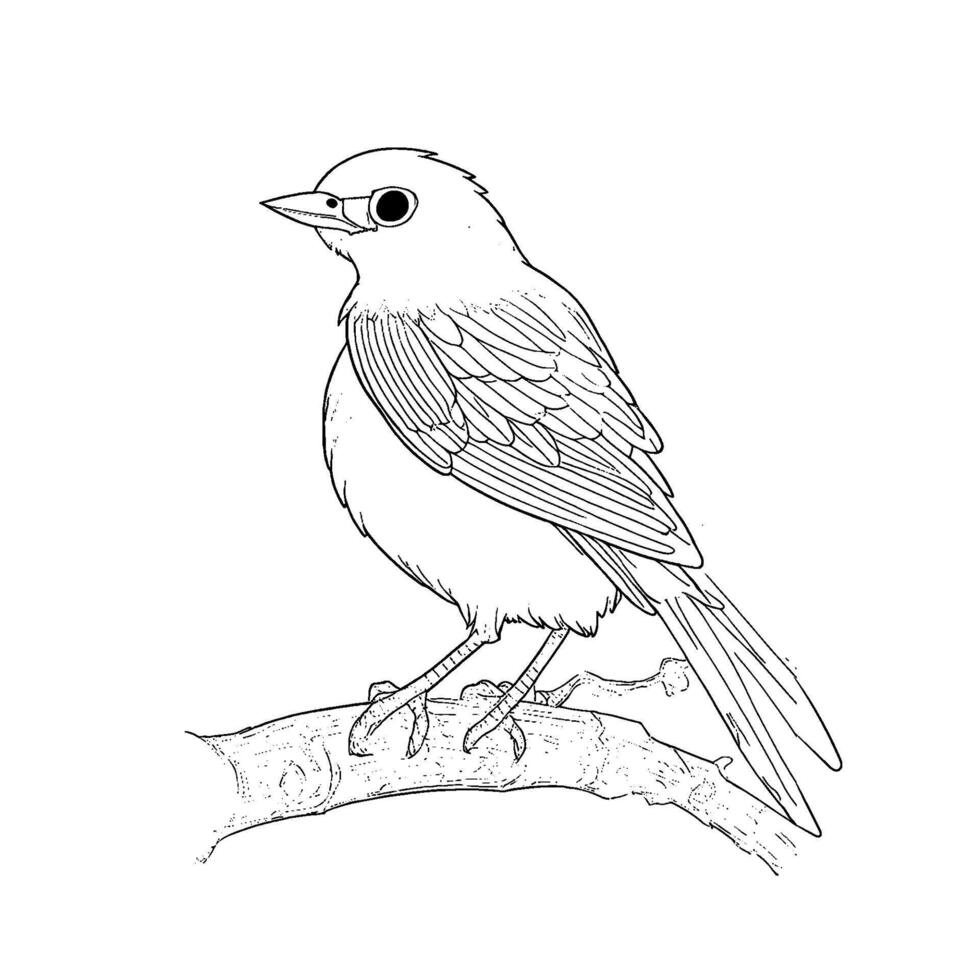 hand drawn kawaii coloring Page illustration 29719295 Vector Art at ...