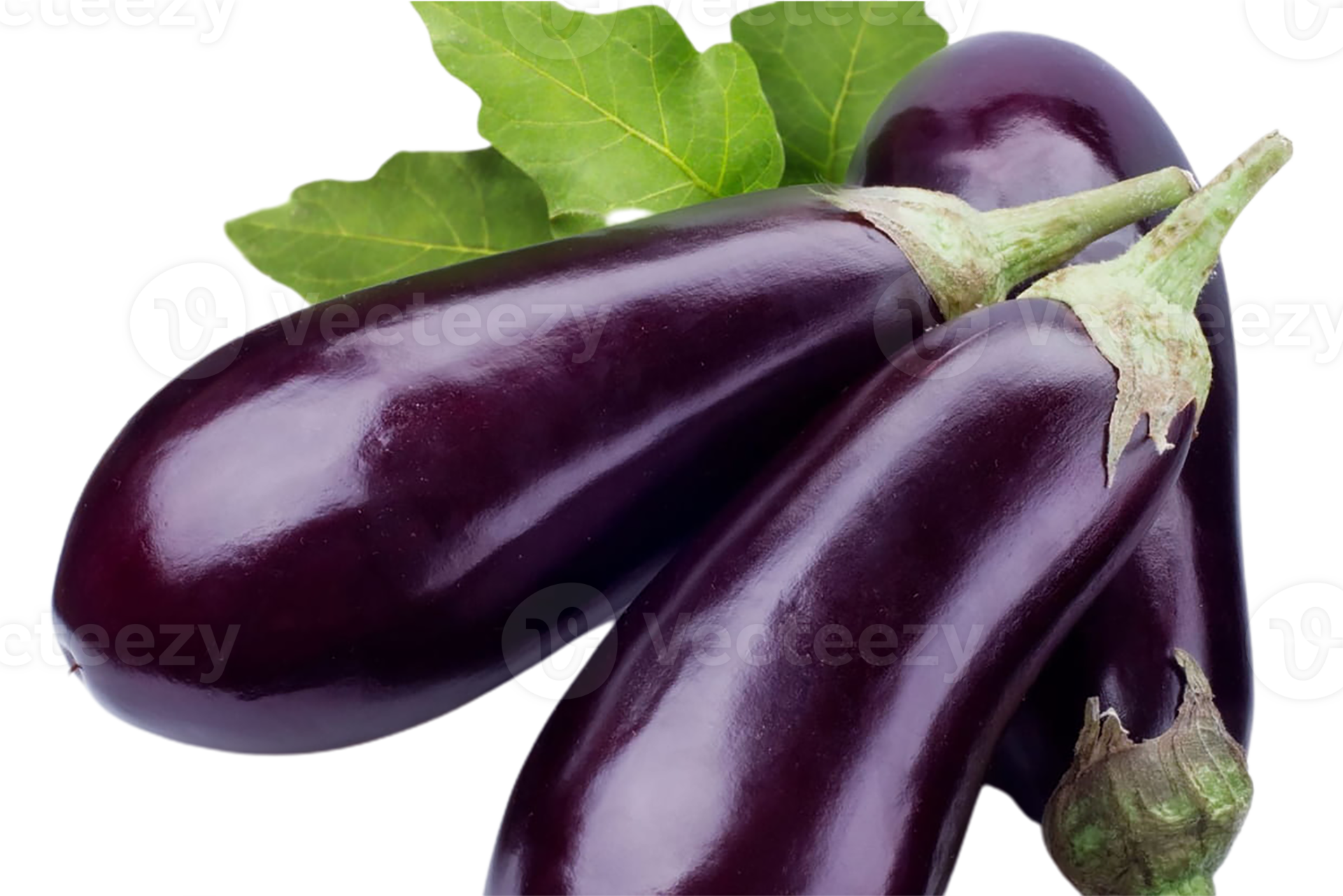 Brinjal png transparent background 29719703 PNG