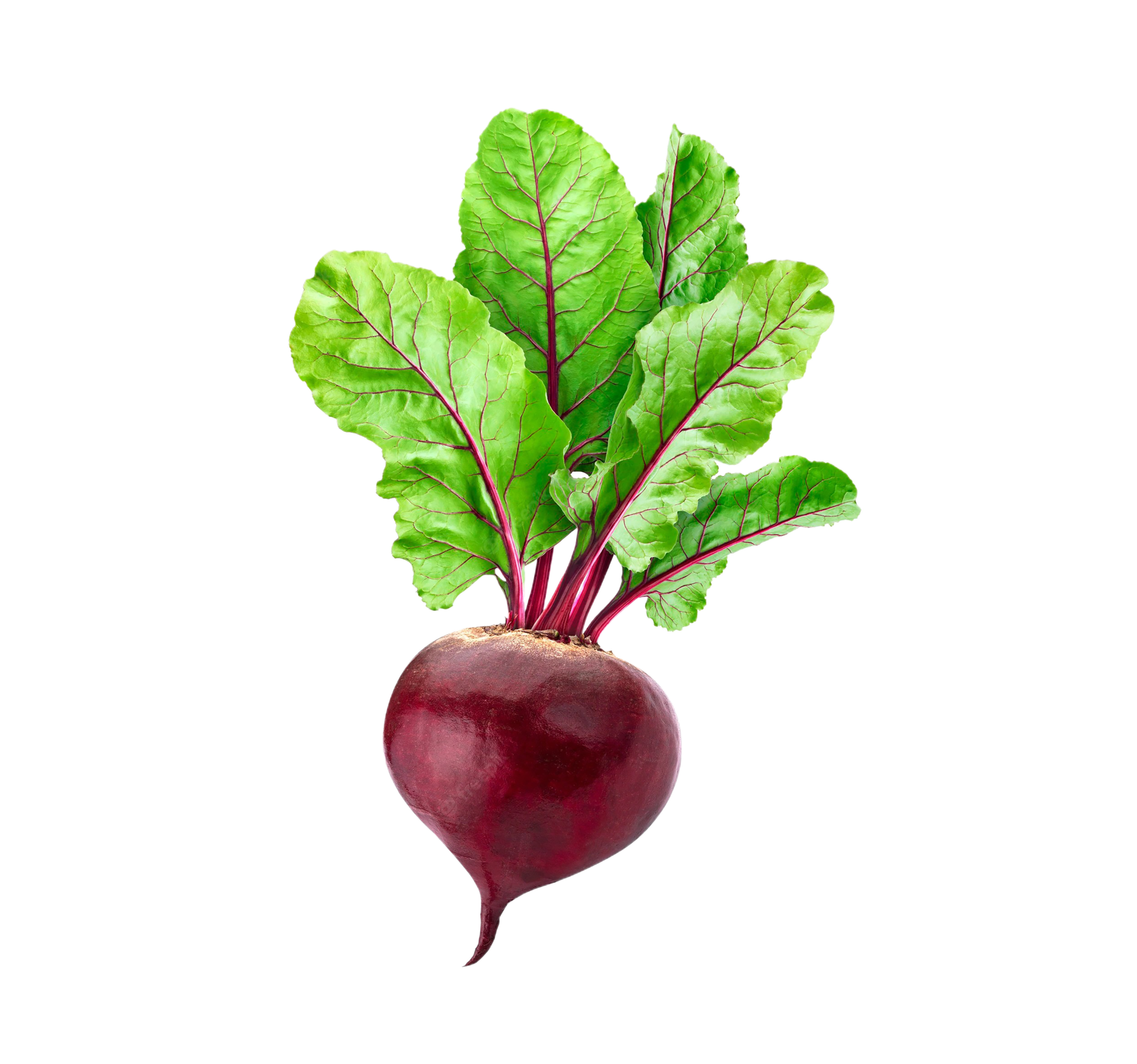 Beetroot png transparent background 29719953 PNG