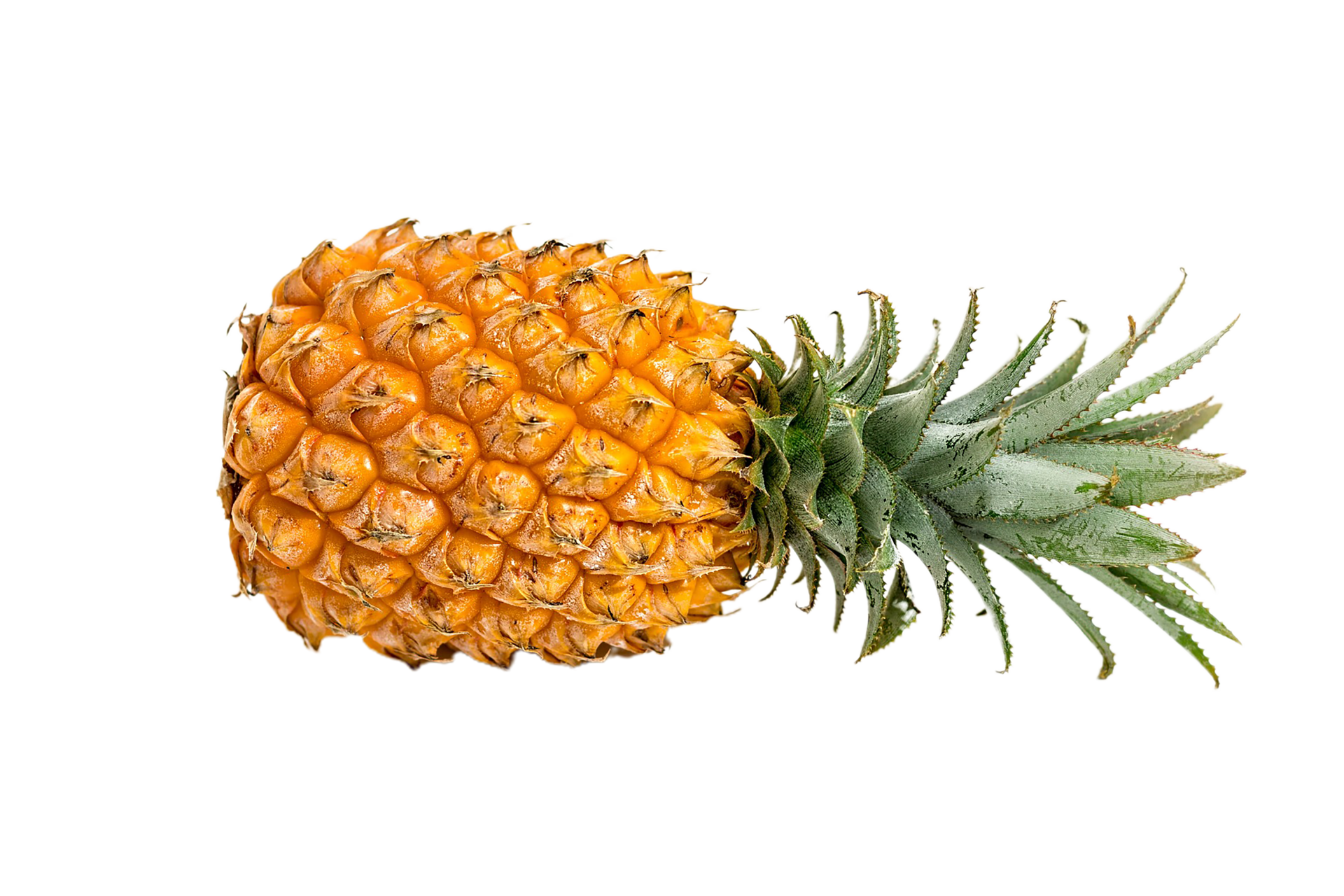 pineapple png transparent background 29720741 PNG pineapple png transparent background 29720741 PNG