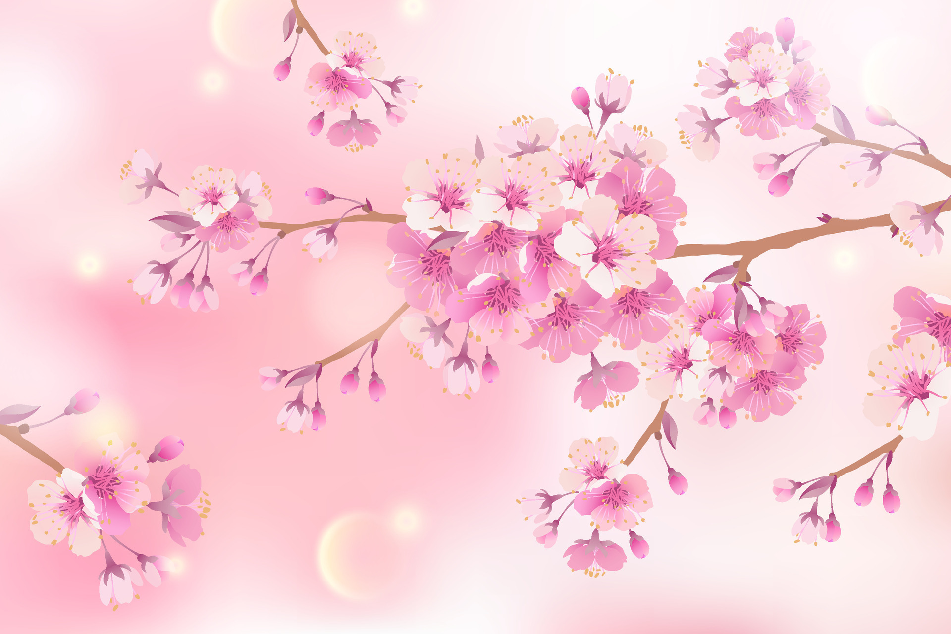 Branches of cherry blossoms on a soft light pink background. For Easter ...