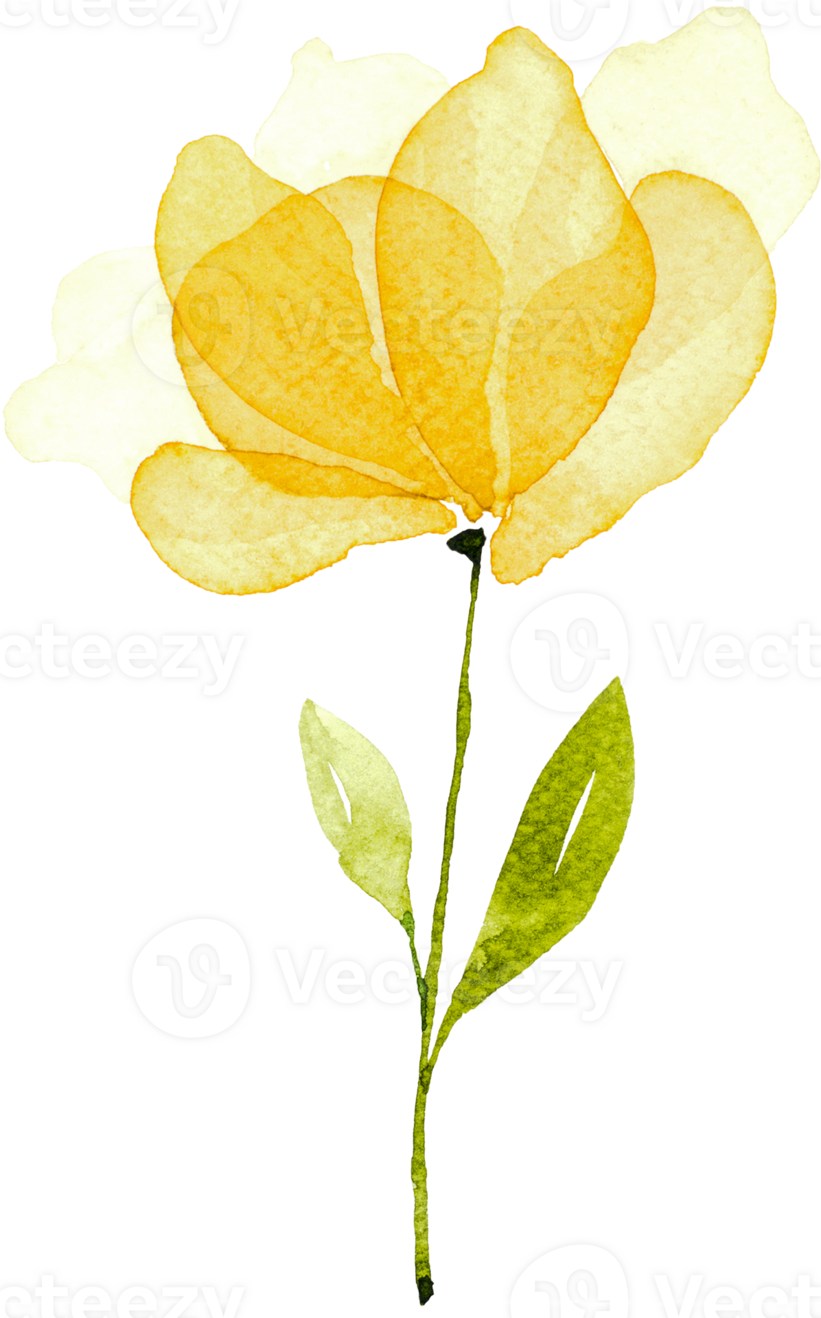 Yellow Flower Watercolor 29752398 Png