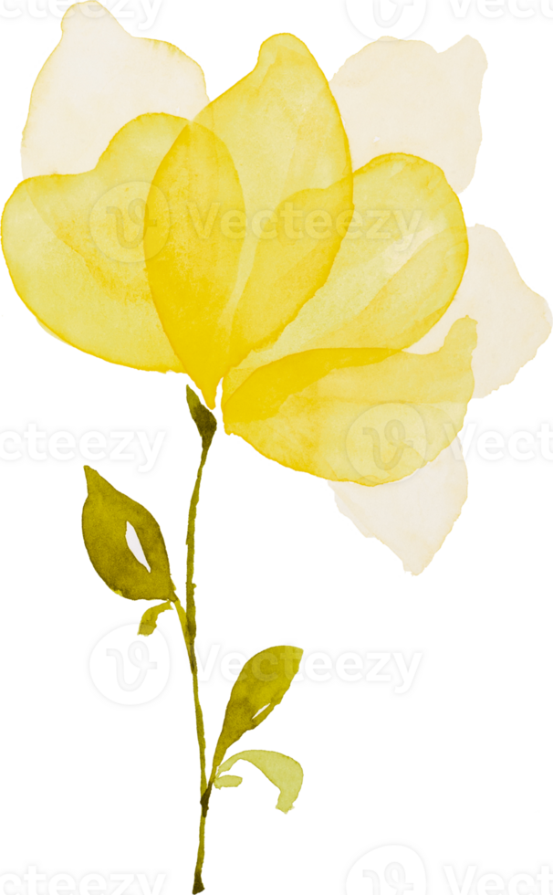 Yellow Flower Watercolor 29752453 Png
