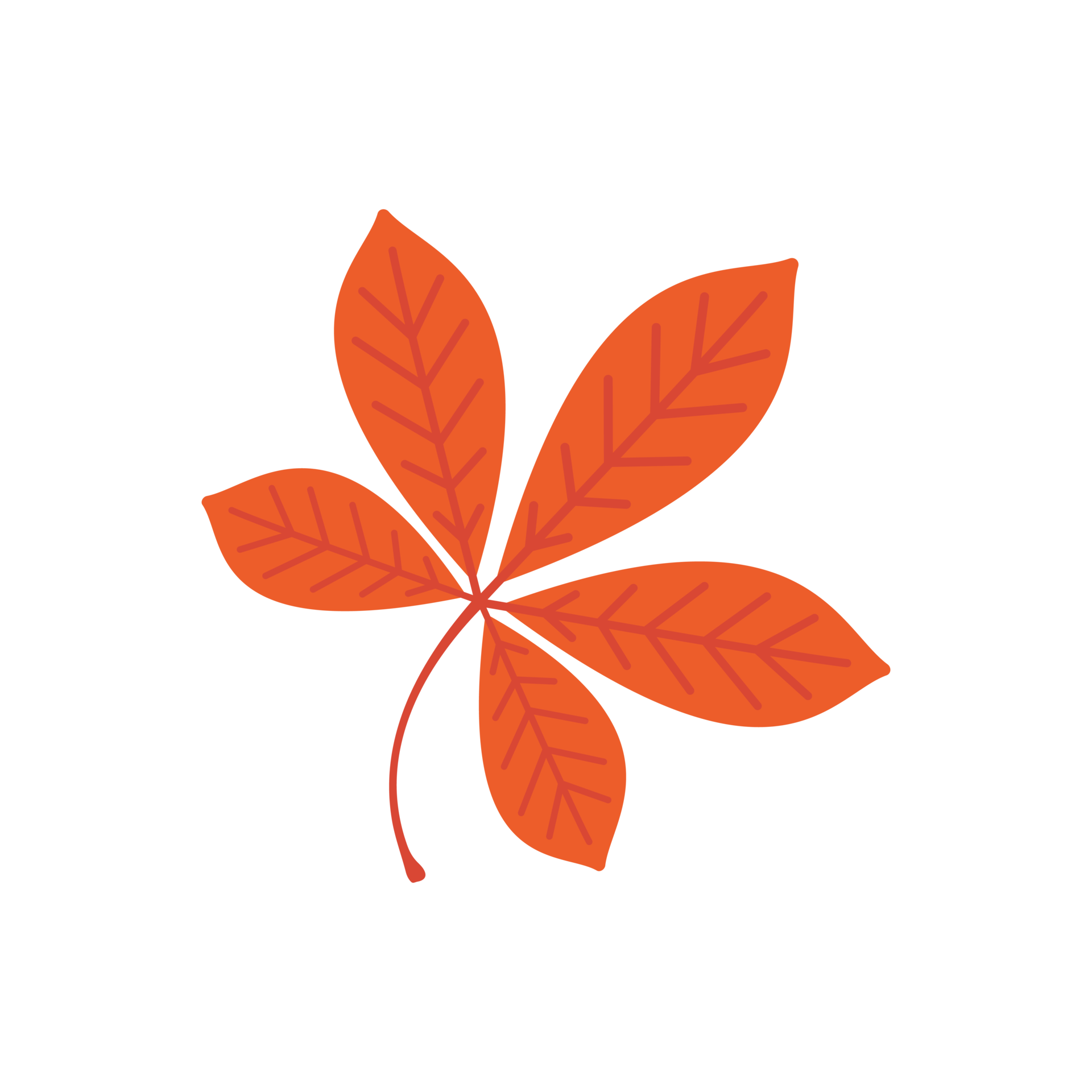 Beautiful Leaf Composition Leaves Change Color In Autumn 29760036 PNG beautiful-leaf-composition-leaves-change-color-in-autumn-29760036-png