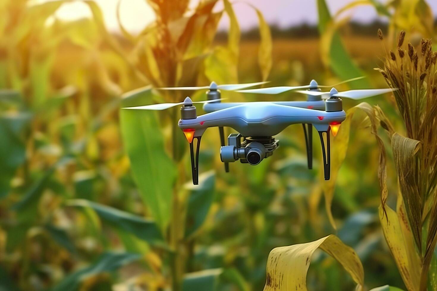 Drone monitoring crops and smart agriculture in a digital farming. AI ...