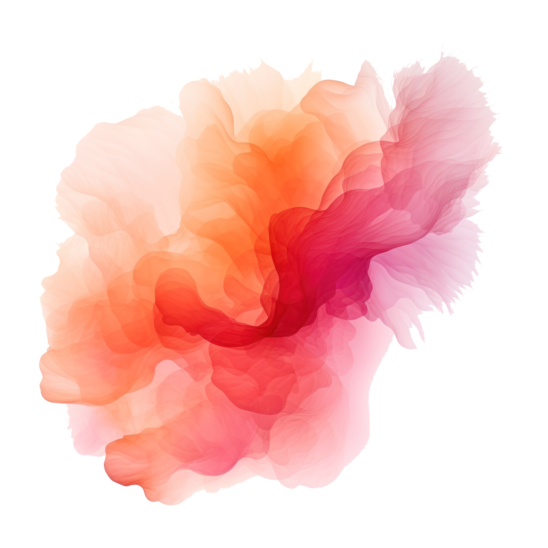 Pink and orange abstract watercolor shape isolated 29847058 PNG