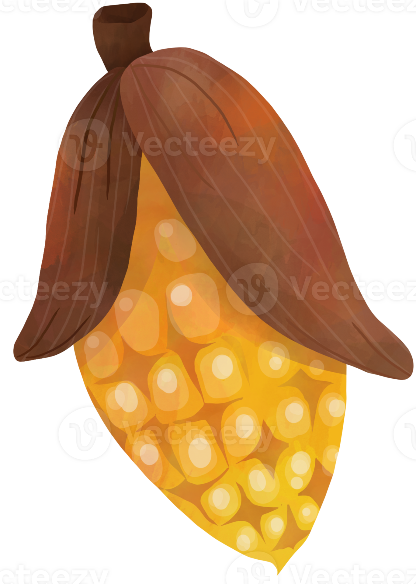 Watercolor Corn Abstract Design 29856995 PNG