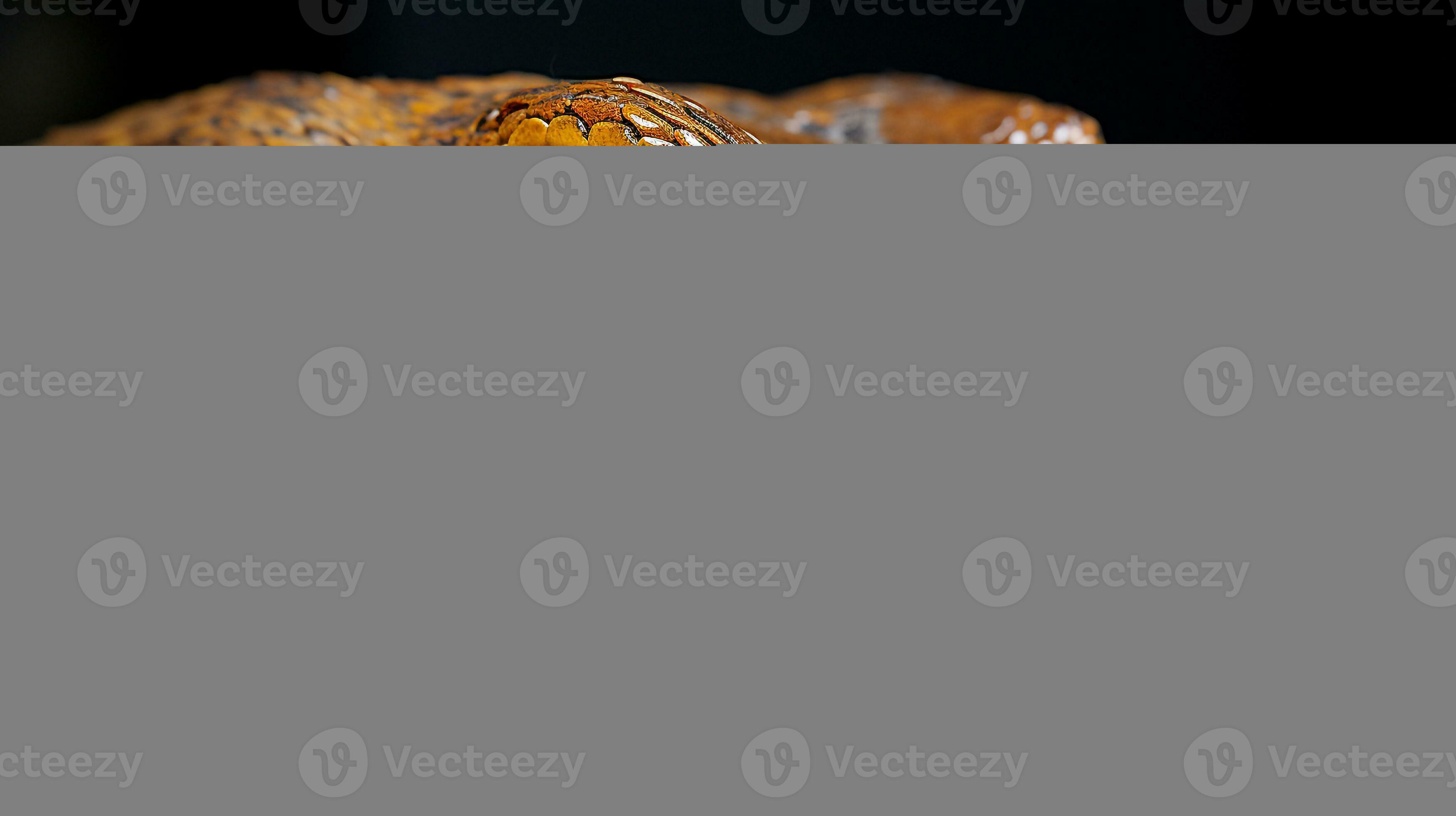 Close-up photo of a Python looking in their habitat. Generative AI ...