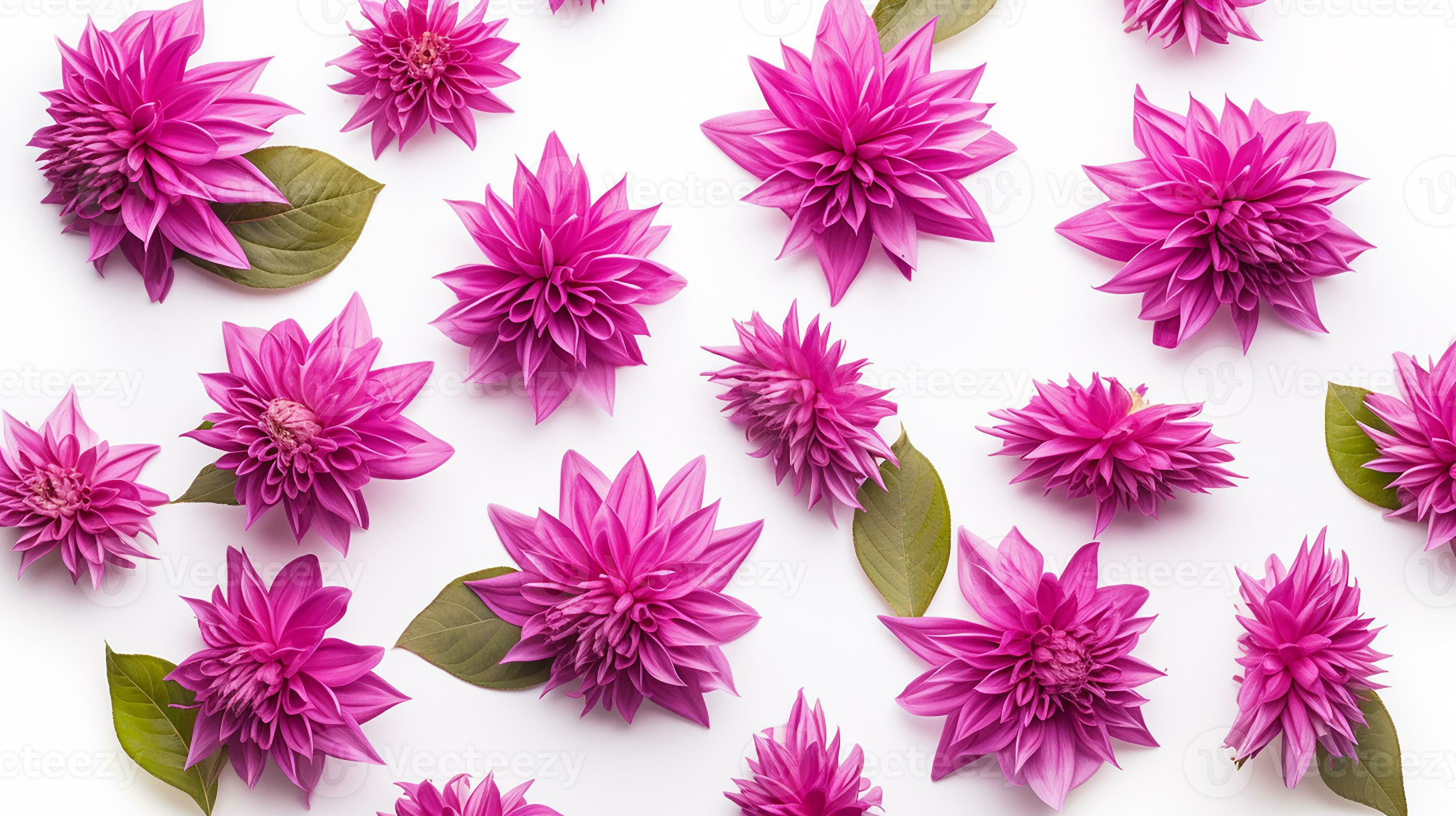 Bee Balm Flower Pattern Background Bee Balm Flower Background Texture Generative Ai 29861965