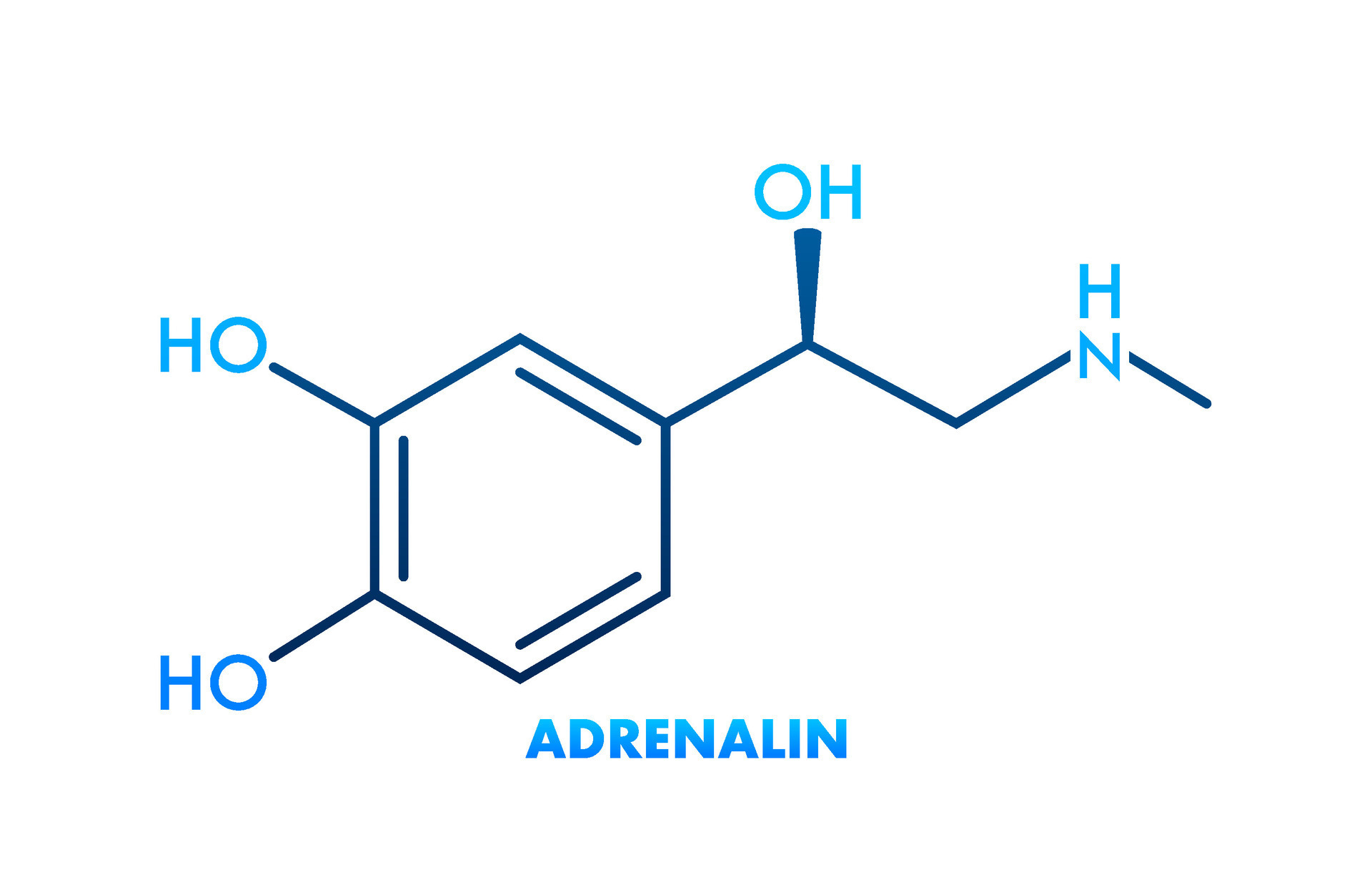 adrenalina o adrenalina, epinefrina neurotransmisor molécula. esquelético fórmula.vector ...
