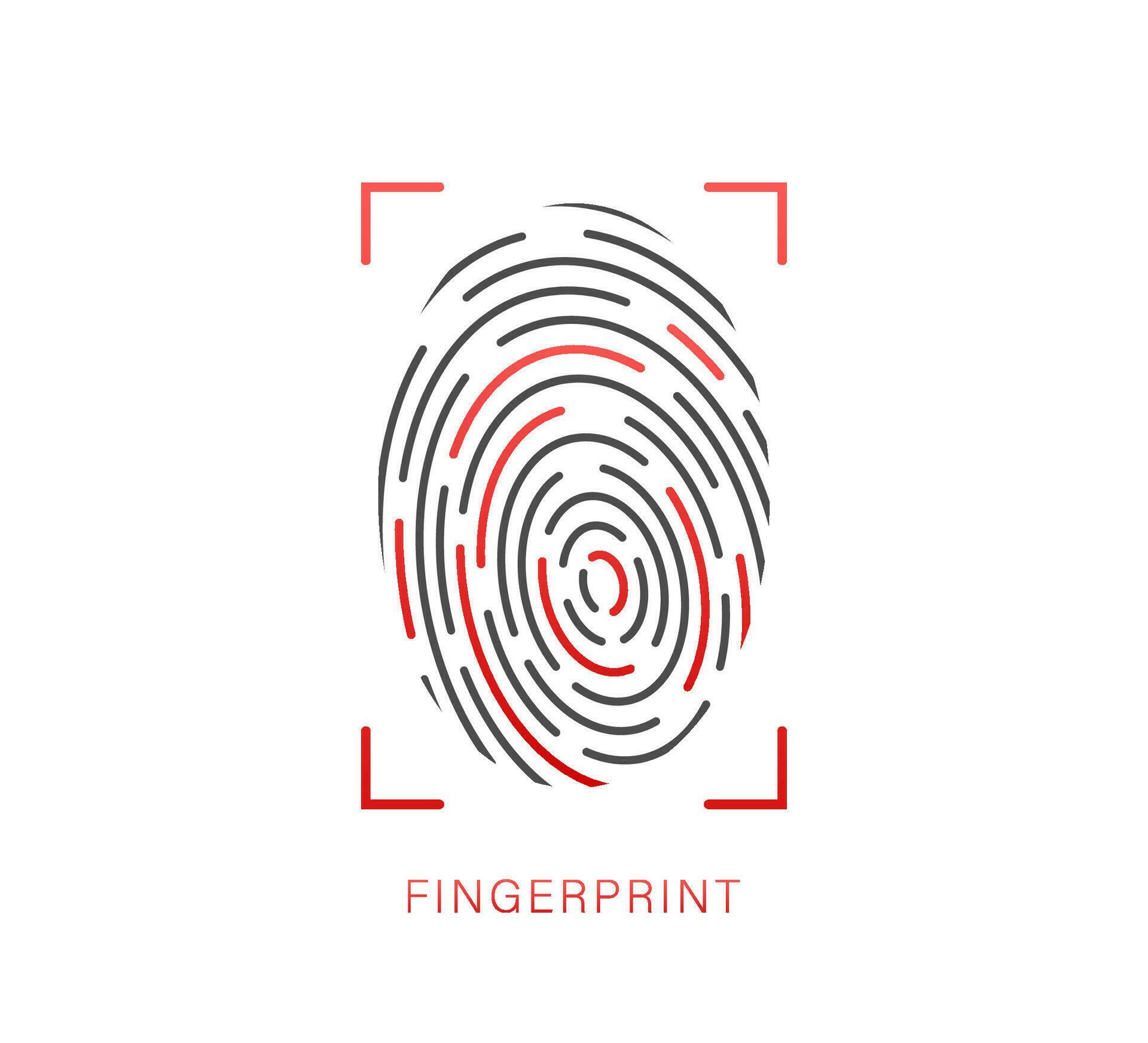 Fingerprint Icon Cyber Security Concept Digital Security Authentication Concept Vector Stock