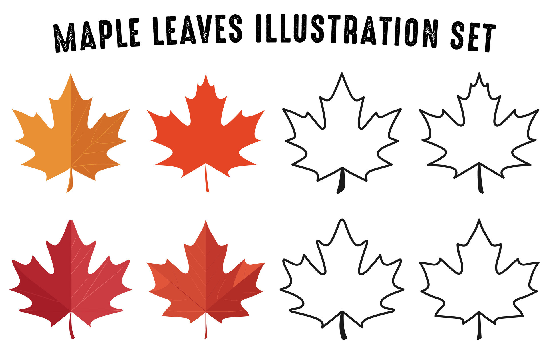 Set Of Colorful Autumn Leaves Vector Autumn Forest Leaf Illustration