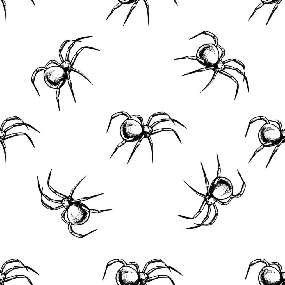 Seamless pattern of hand-drawn spider. Drawing sketch of the black ...