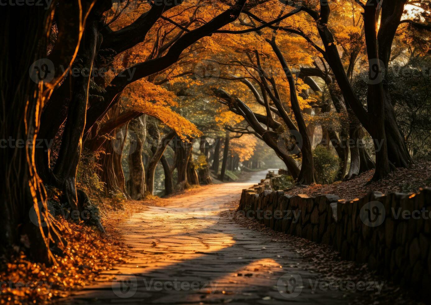 autumn leaves orange tranquility grace landscape zen harmony calmness unity harmony photography ...