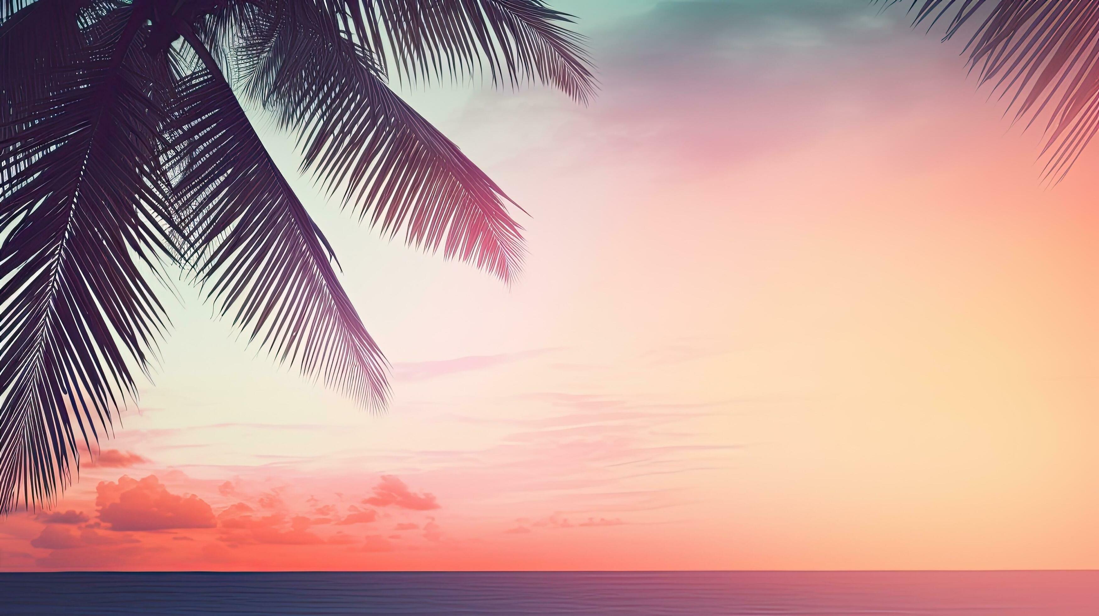 Palm tree, sky. Web banner with copy space. Generative AI 30200463 ...