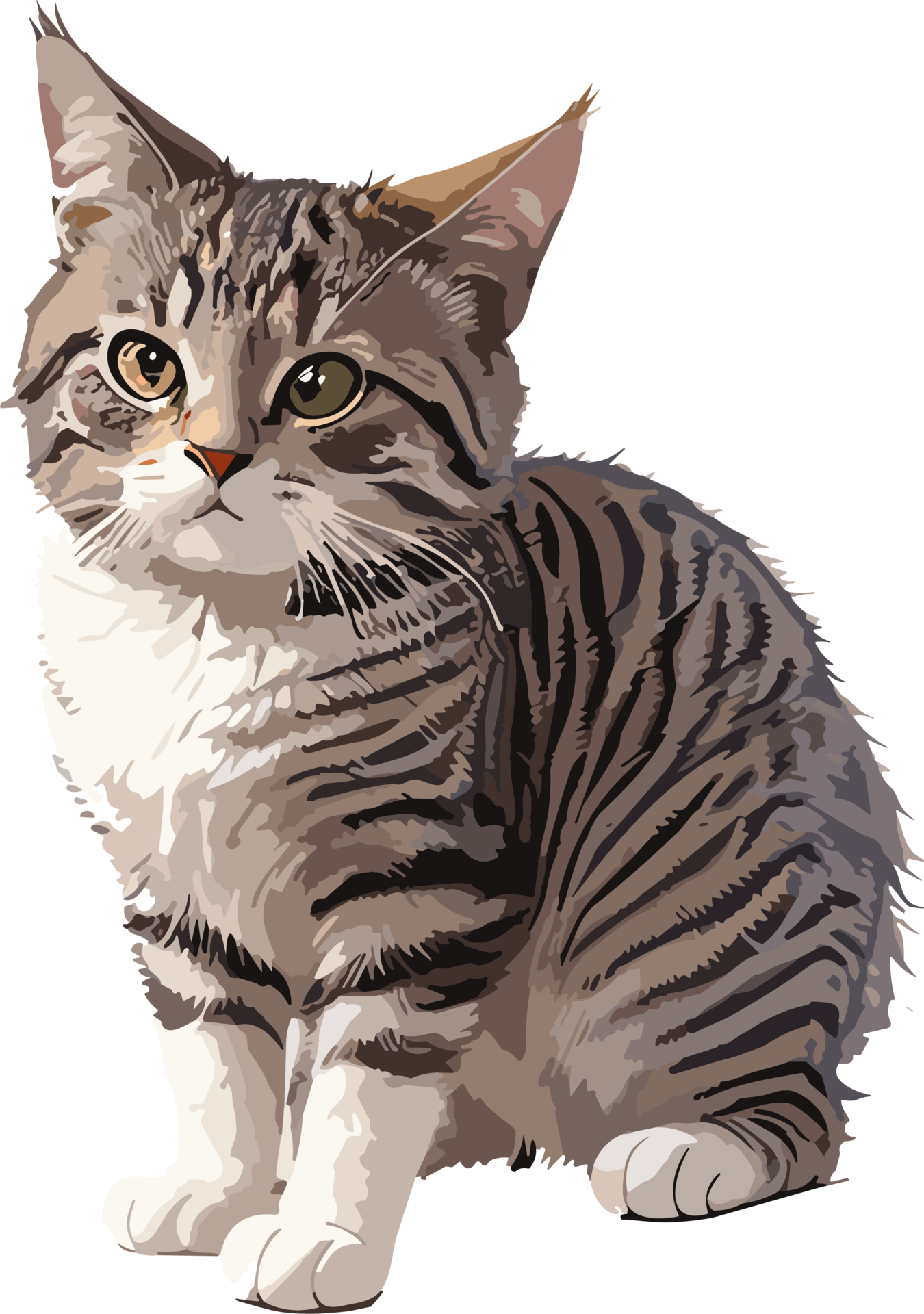 Cute Animals American Short Hair Cat Ai Generative 30211208 PNG cute-animals-american-short-hair-cat-ai-generative-30211208-png