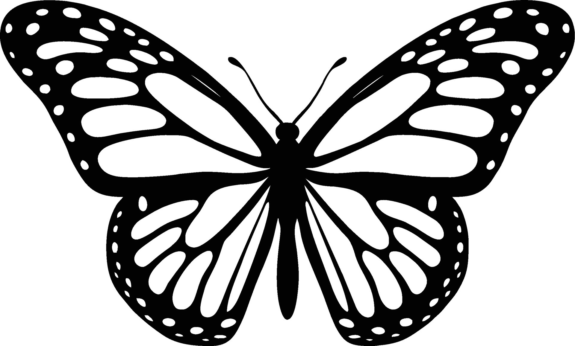 Volador Mariposa Vector Silueta Belleza Mariposa Vector Icono Diseño Valores Vector Imagen