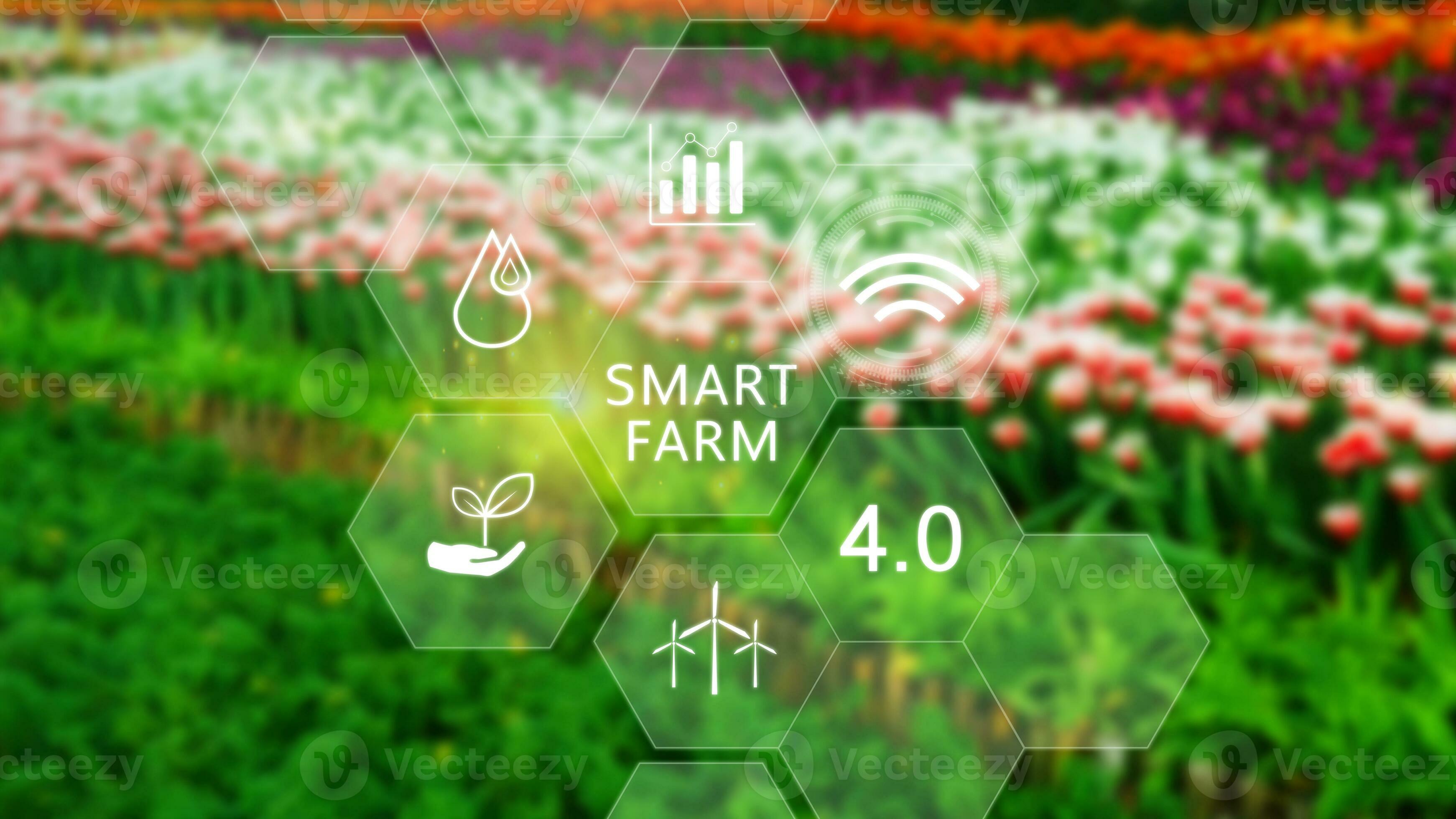 Smart farm, agriculture concept with infographics Smart farming and precision agriculture 4.0 ...