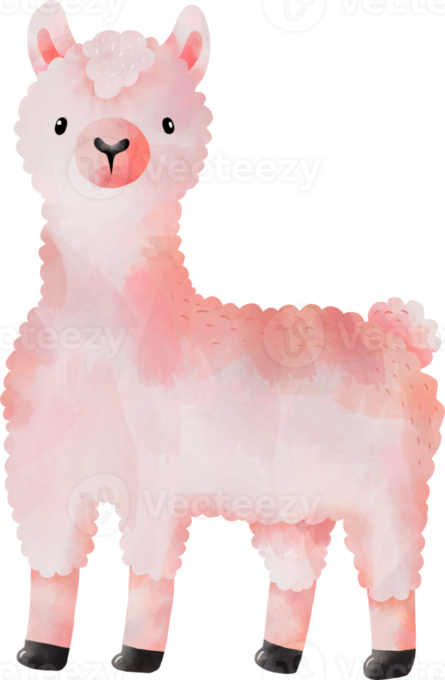 Watercolor Pink Llama 30350309 PNG