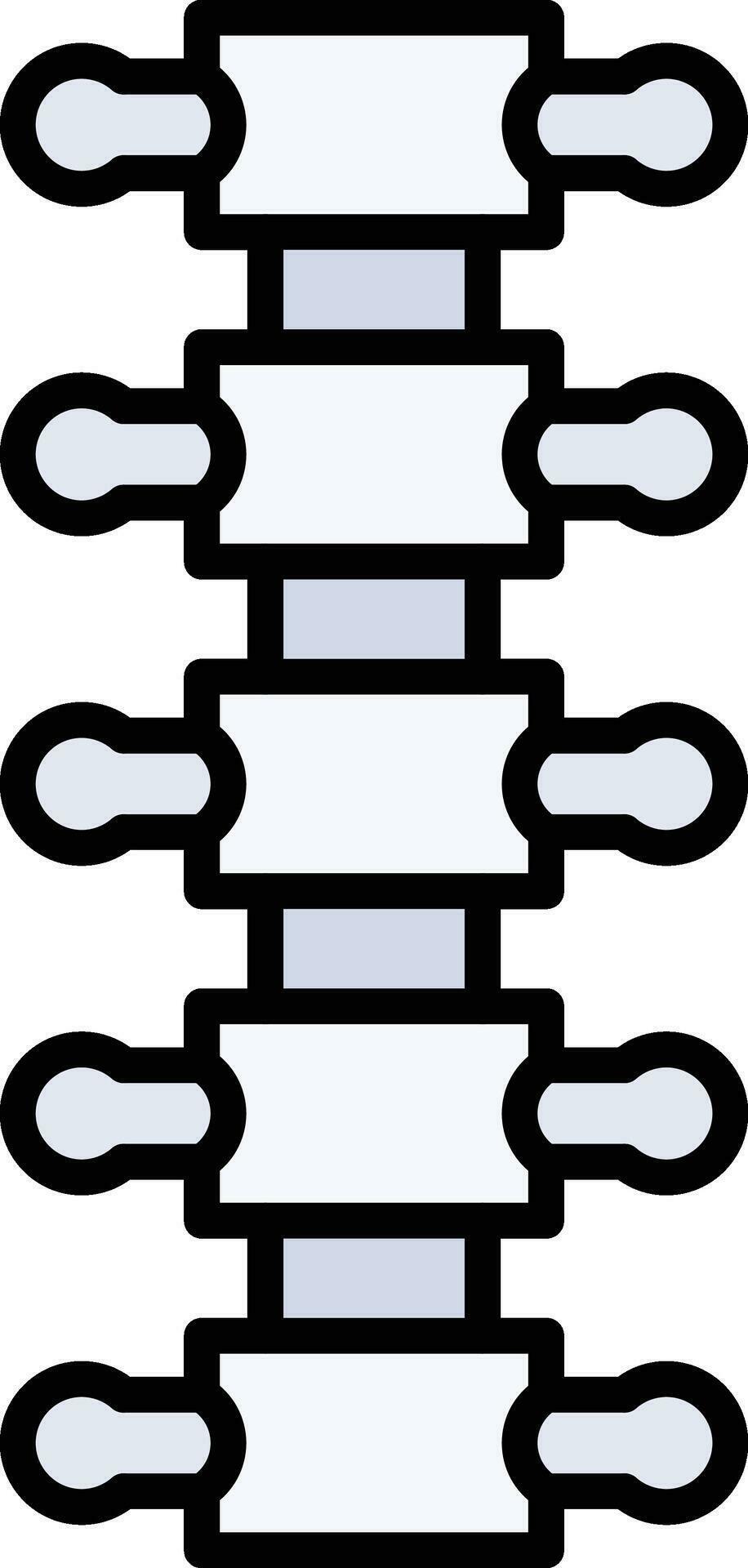Dorsal Spine Vector Icon 30381685 Vector Art at Vecteezy Dorsal Spine Vector Icon 30381685 Vector Art at Vecteezy