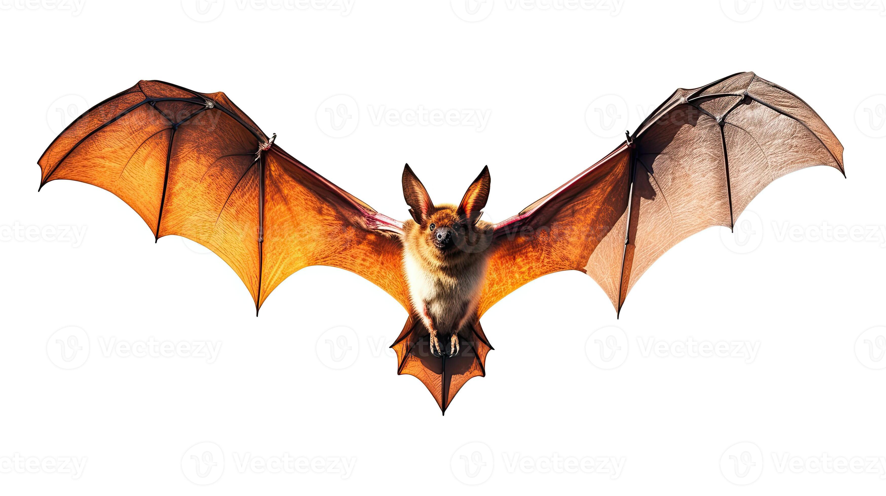 a bat with spread wings isolated on white background. Generative Ai 30388092 Stock Photo at Vecteezy