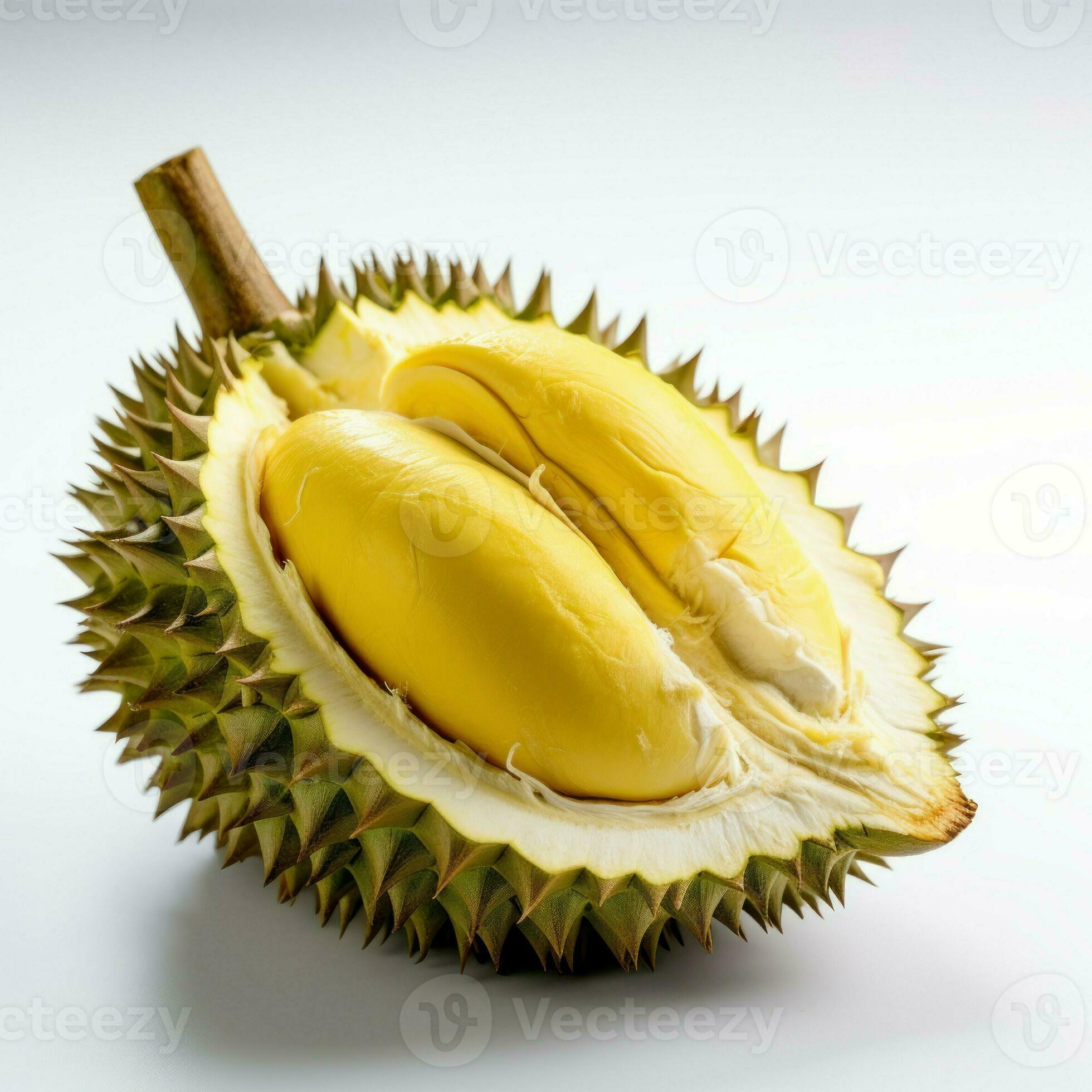 Fresh durian fruit isolated on white background with depth of field ...
