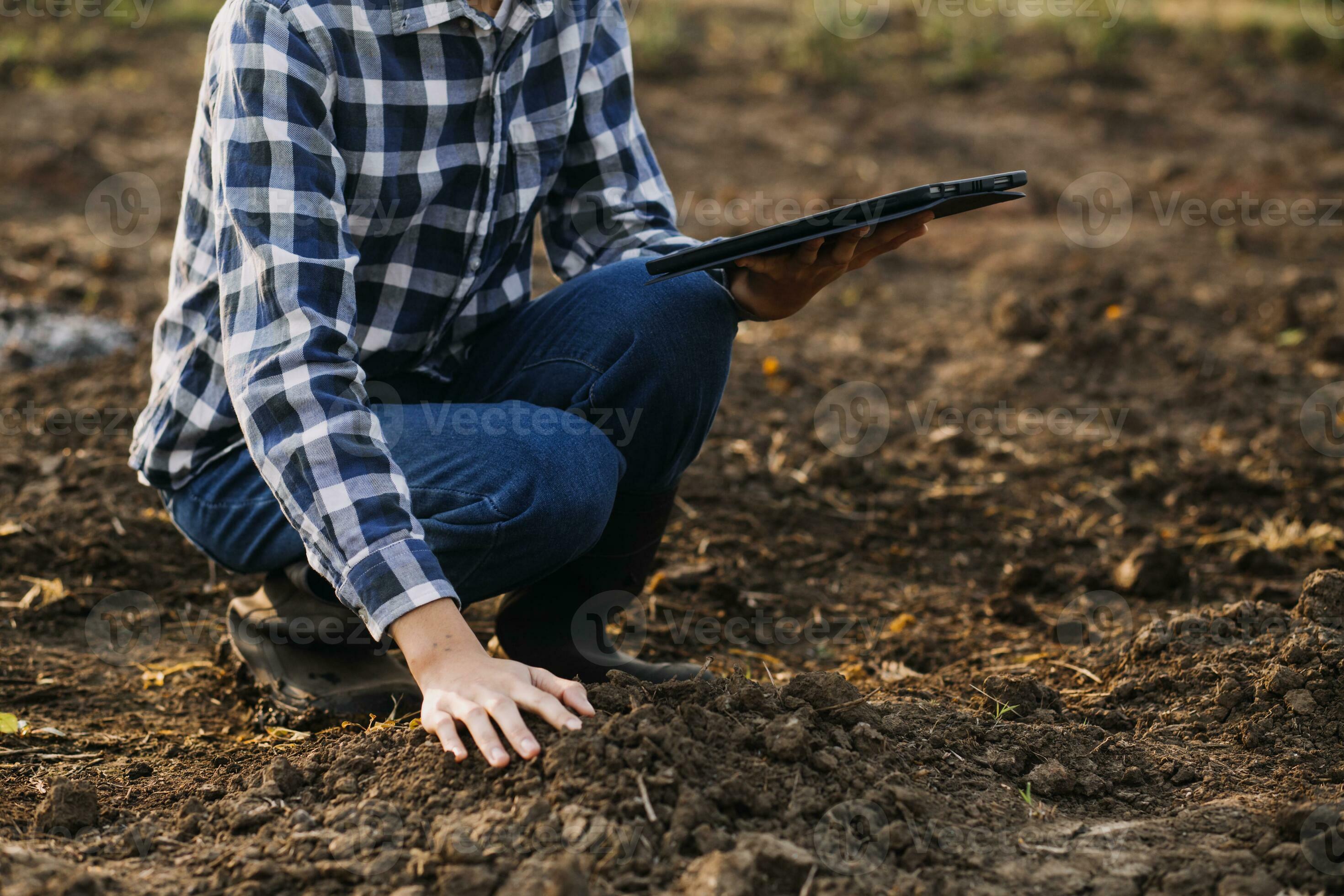 Masculino Manos Conmovedor Suelo En El Campo Experto Mano De Granjero