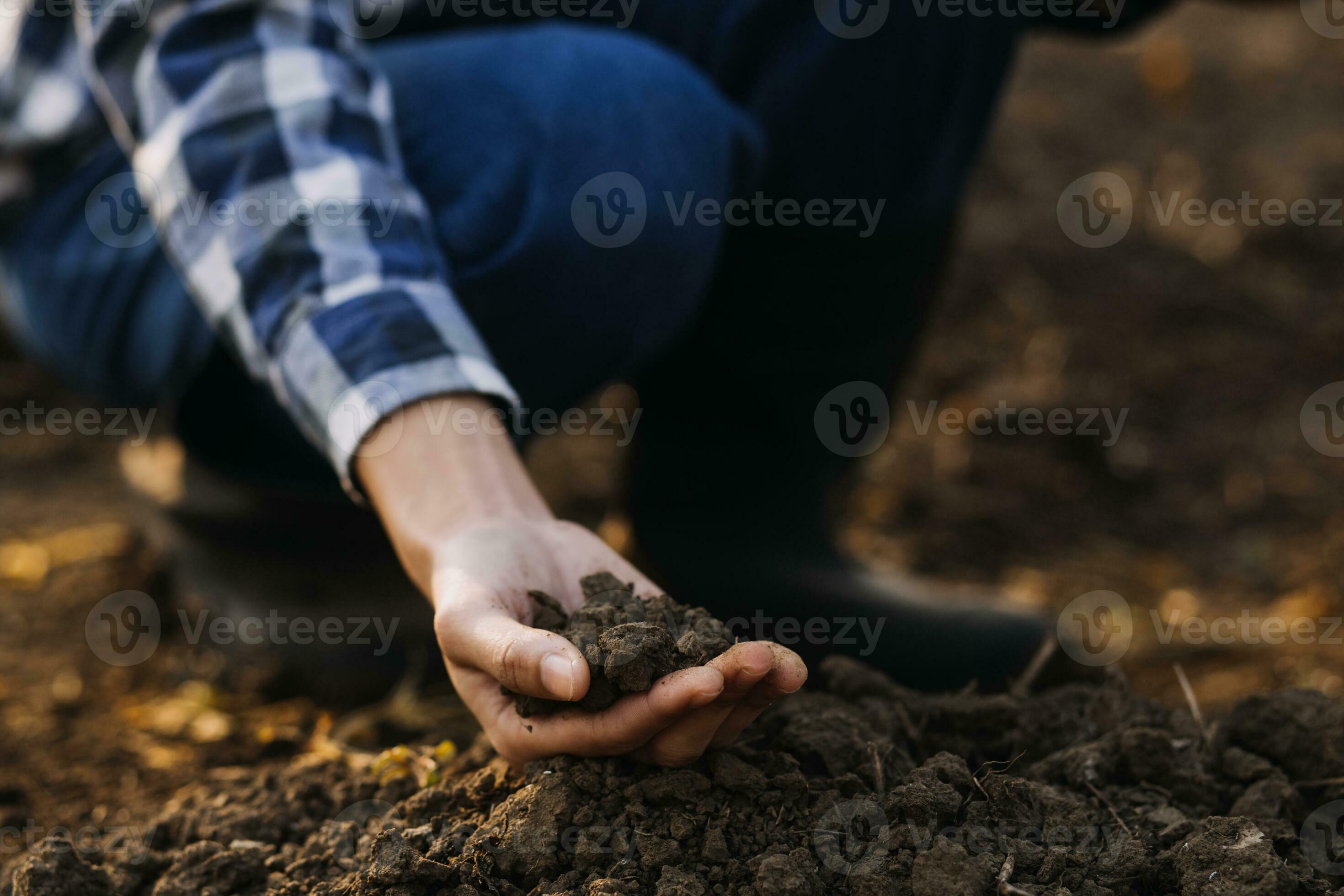 Masculino Manos Conmovedor Suelo En El Campo Experto Mano De Granjero