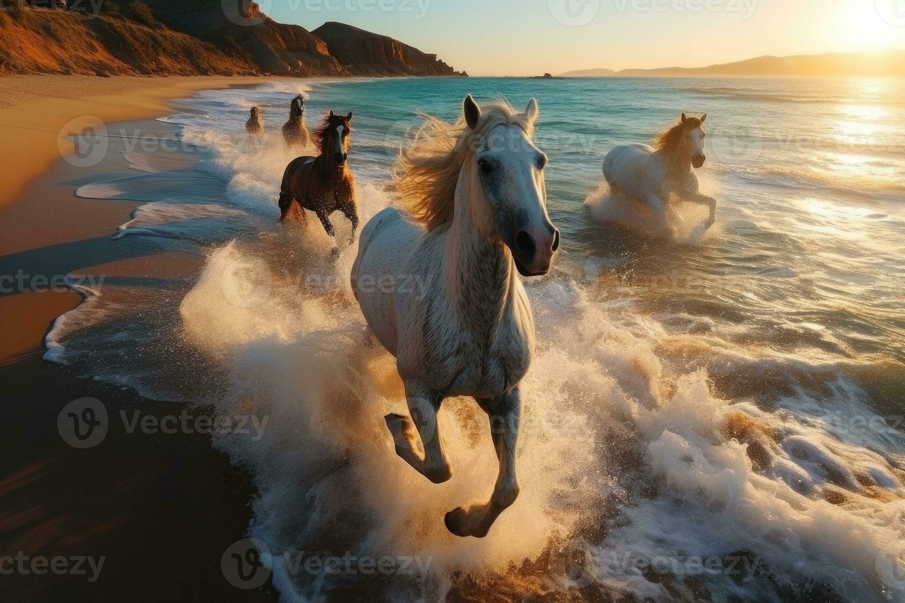 Wild Horses Running On Beach