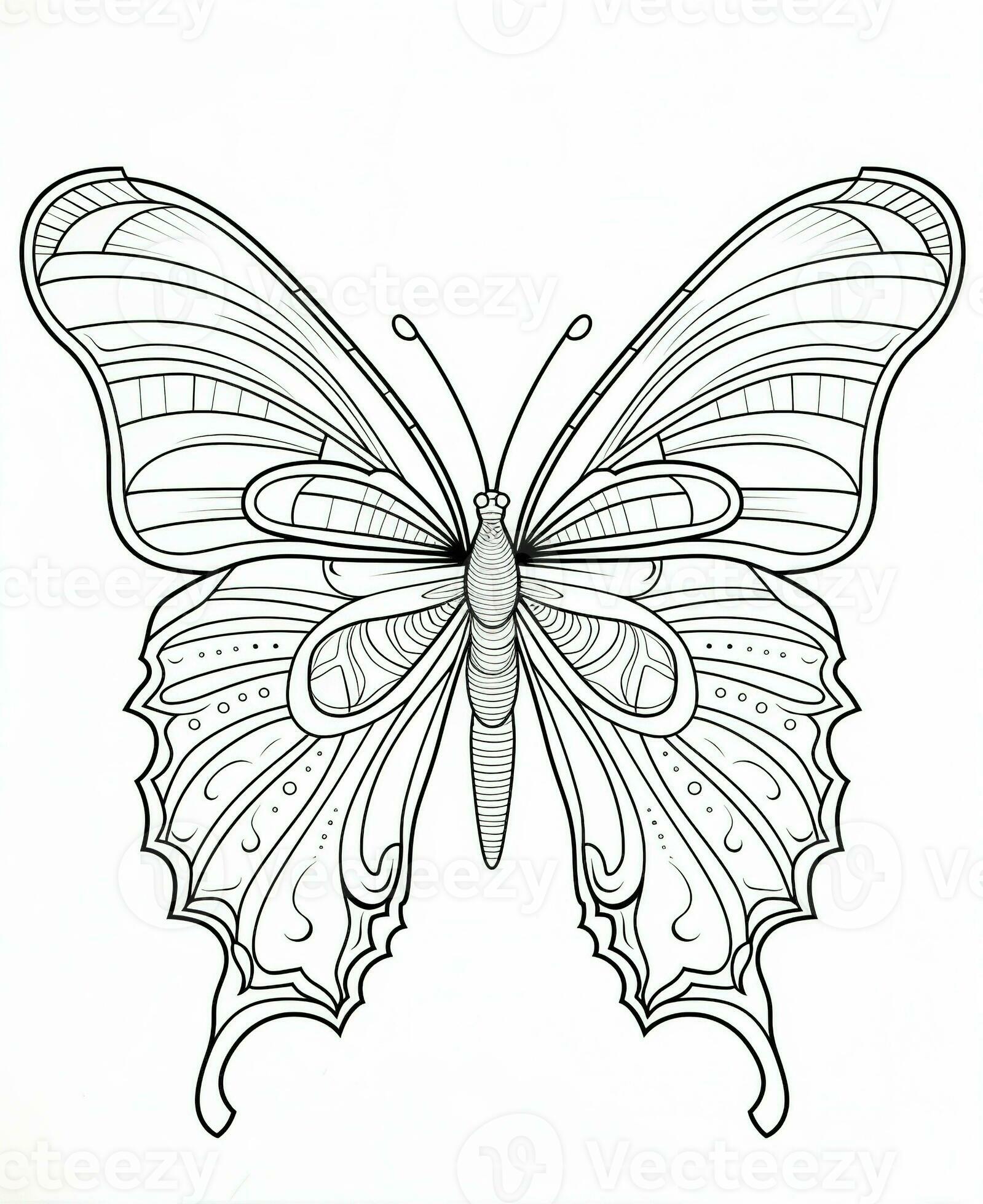 Illustration for coloring book with butterfly isolated on white ...
