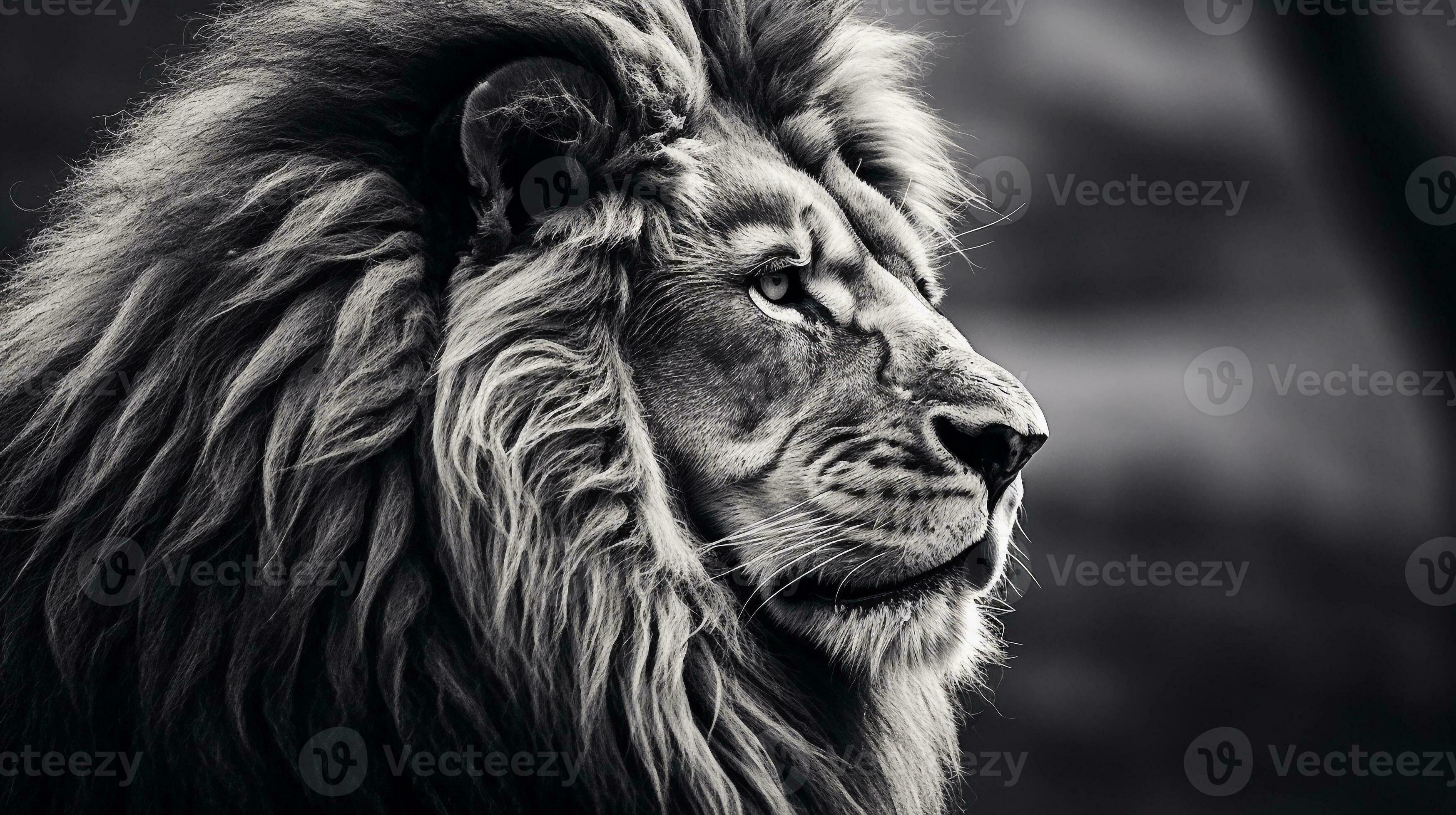 Inspiring lion captured in profile, its majestic mane and focused gaze ...