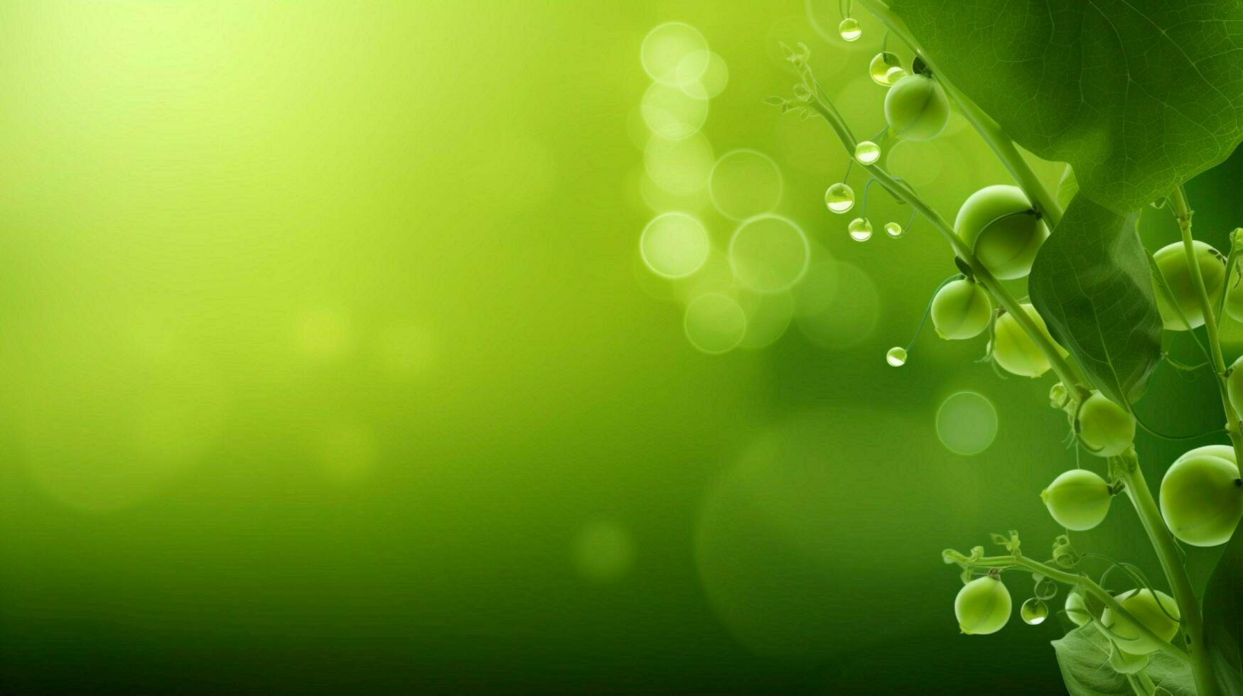 pea green background high quality 30671933 Stock Photo at Vecteezy