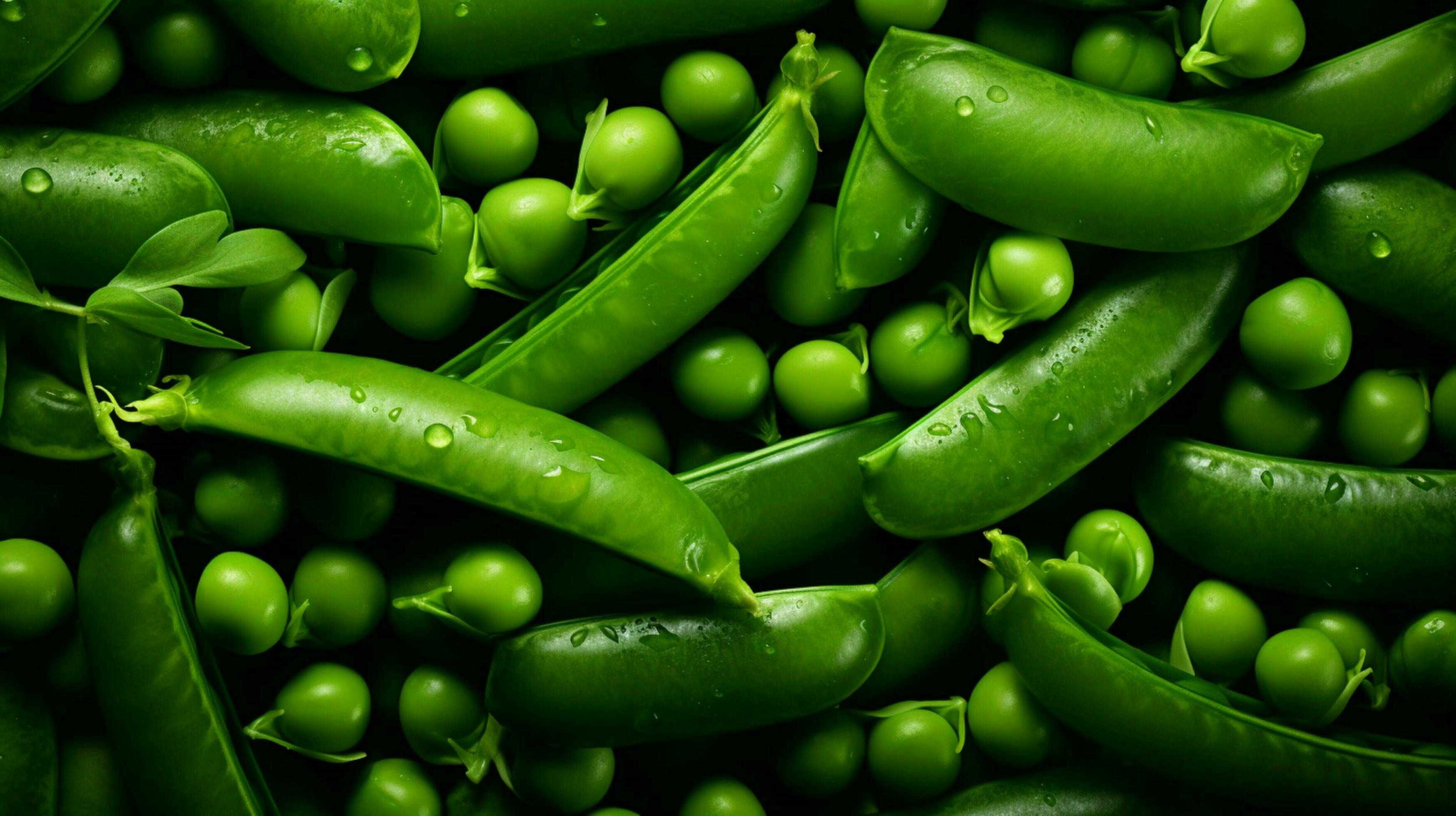 pea green background high quality 30671964 Stock Photo at Vecteezy