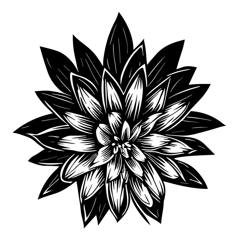 Edelweiss Floweredelweiss Clipart Ai Generative 30729020 Png