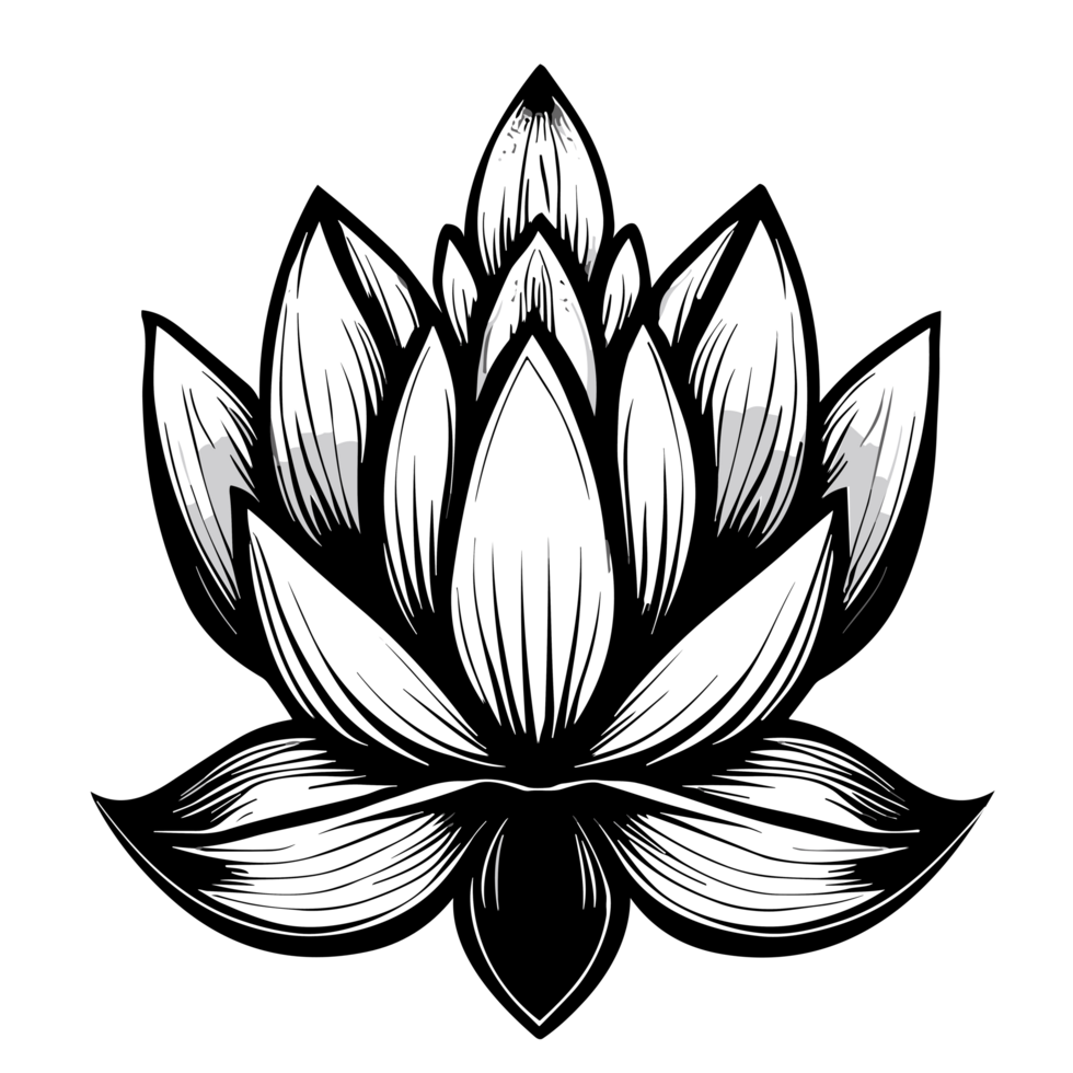 Lotus Flower Ai Generative 30739731 Png
