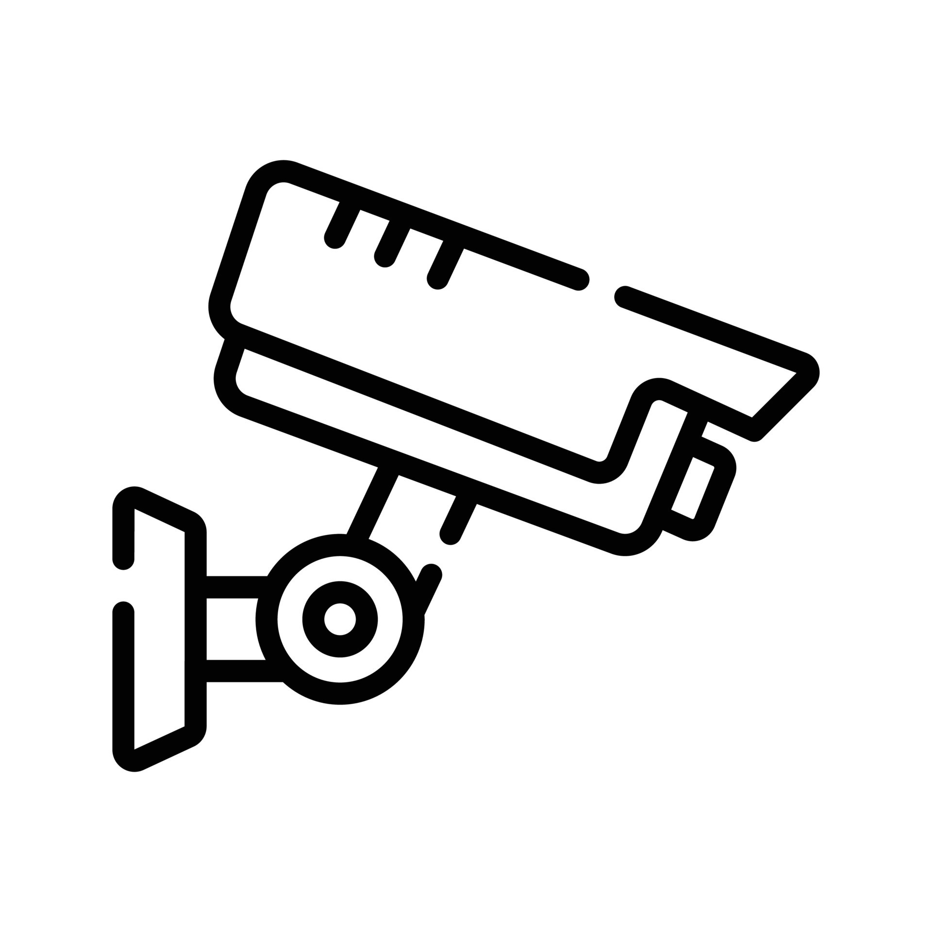 Cctv Icon Security Camera Icon Vector Surveillance Camera 30746923