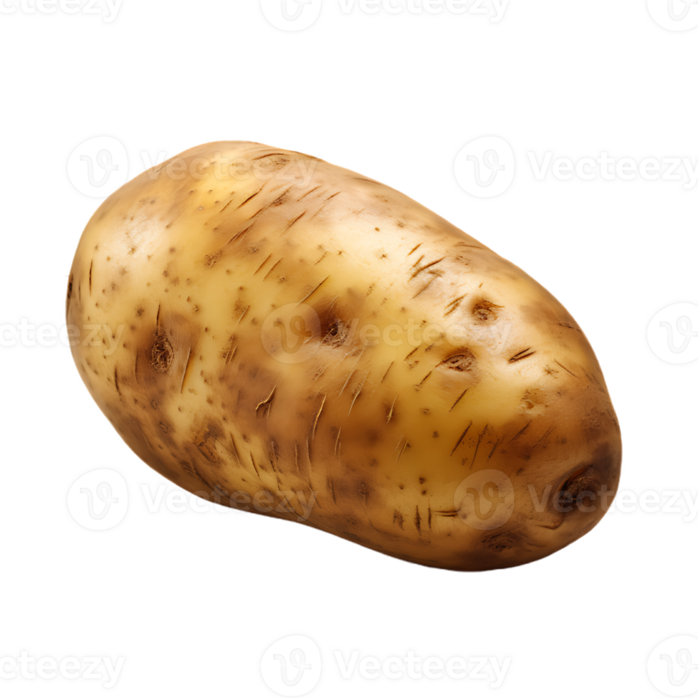 Isolated Fresh Potato Ai Generative 30751088 Png